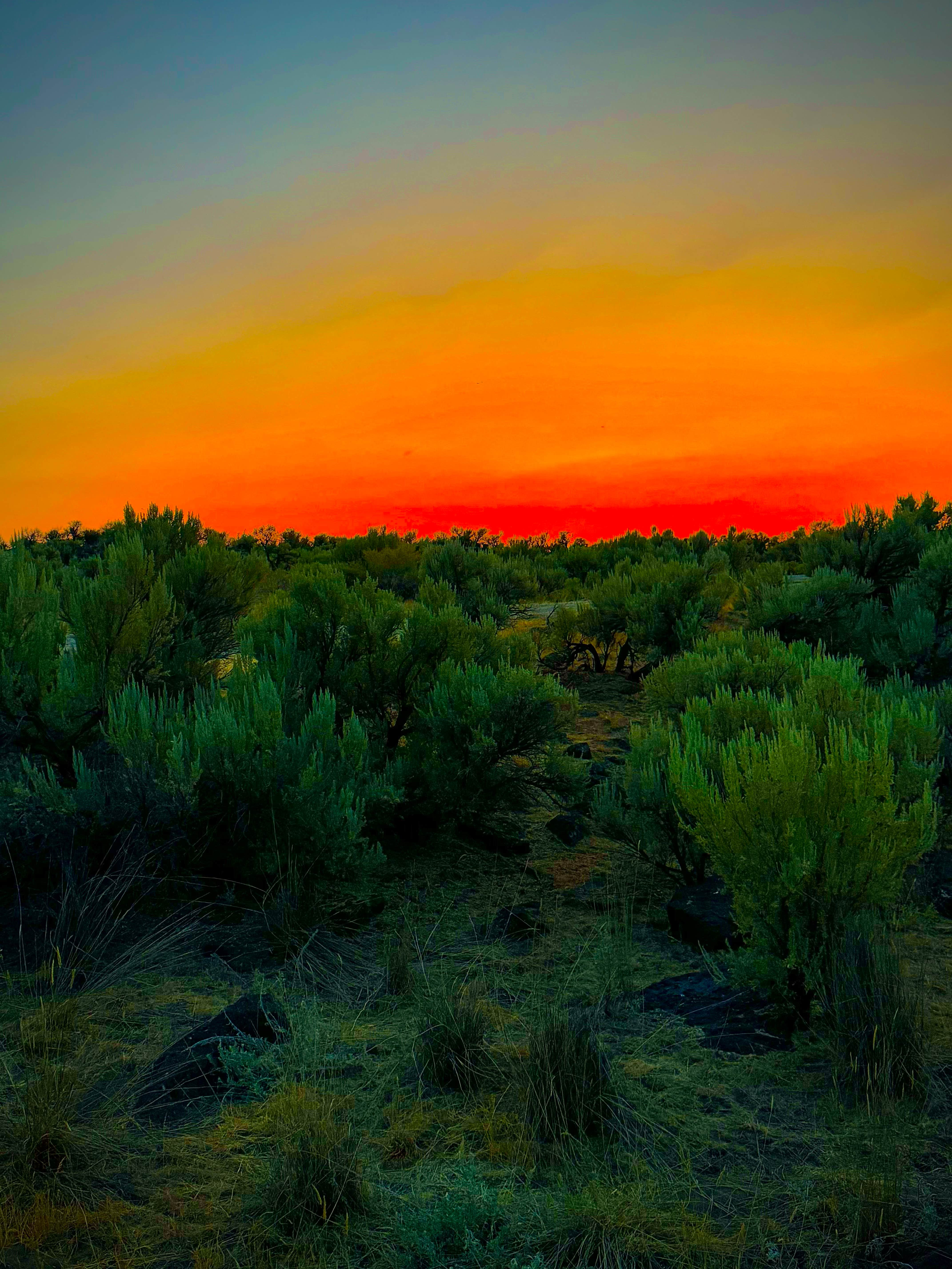 Dispersed Camping near Craters of the Moon National Monument, ID