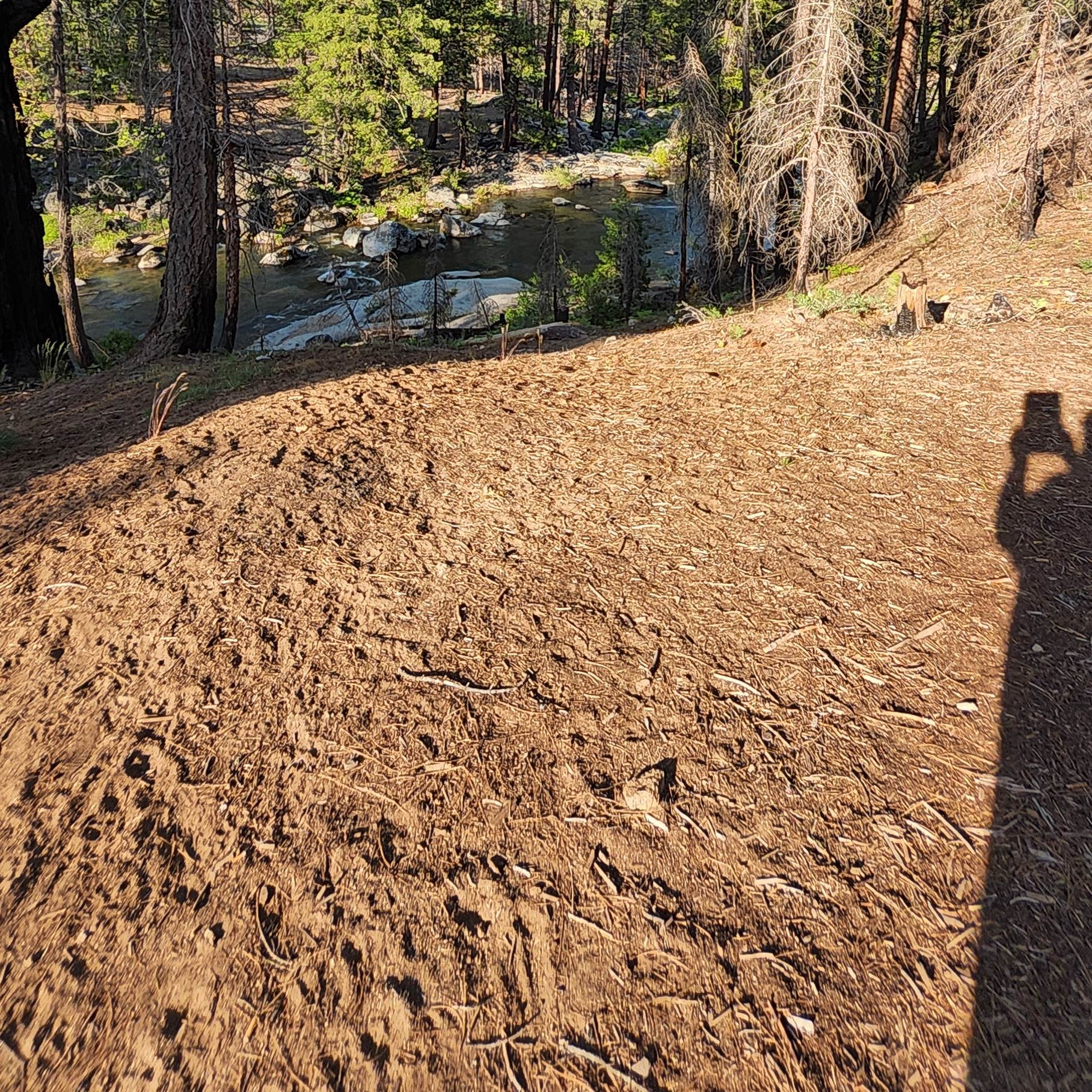 Silver Fork River Camping | Kyburz, California