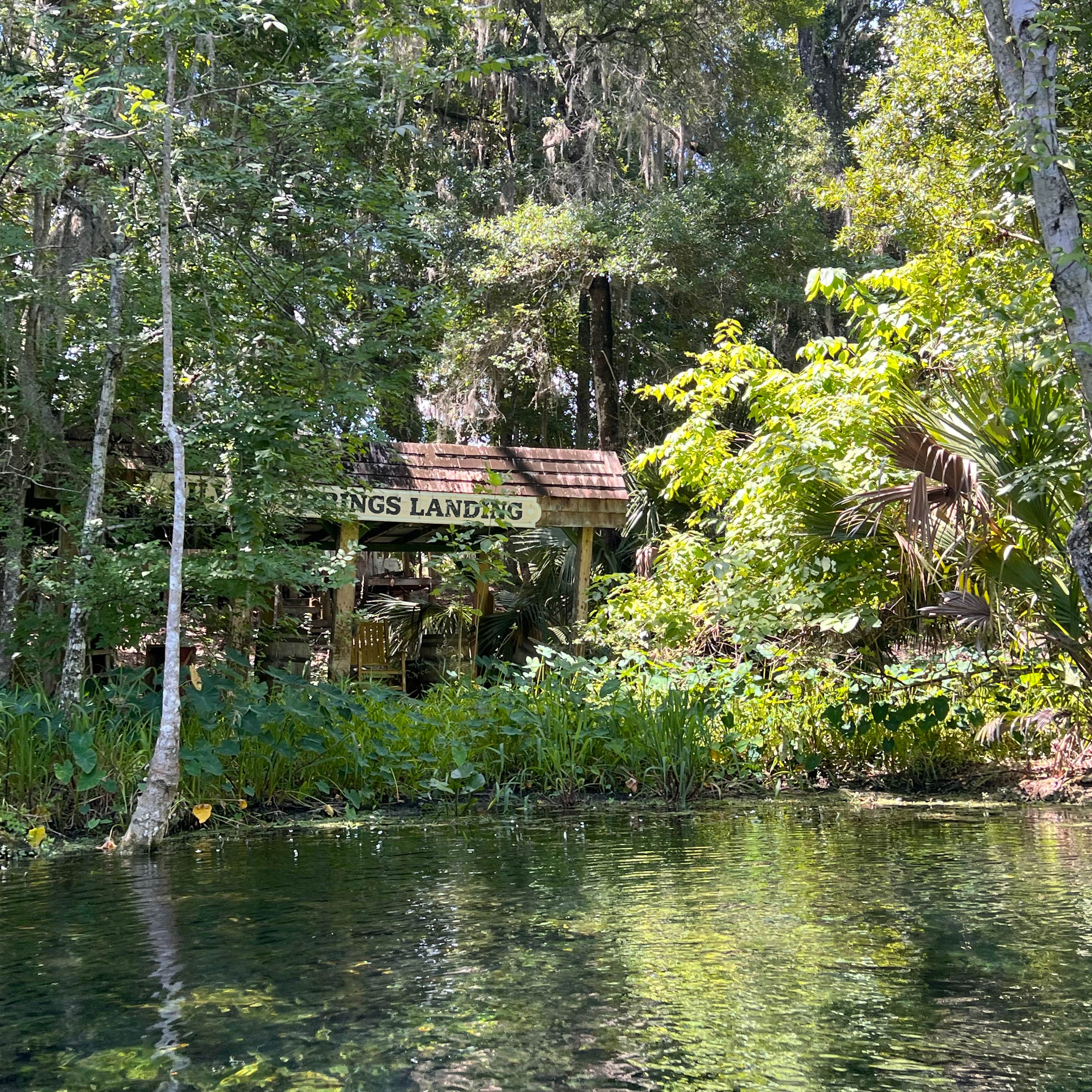 Silver Springs State Park Campground | Ocala, Florida
