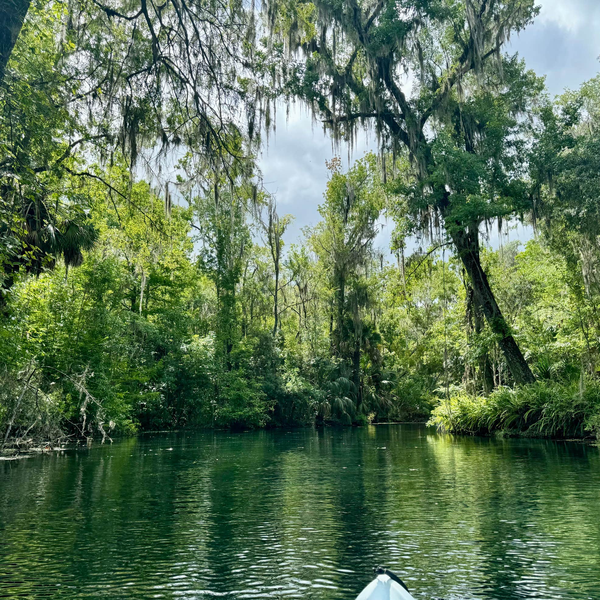 Silver Springs State Park Campground | Ocala, Florida