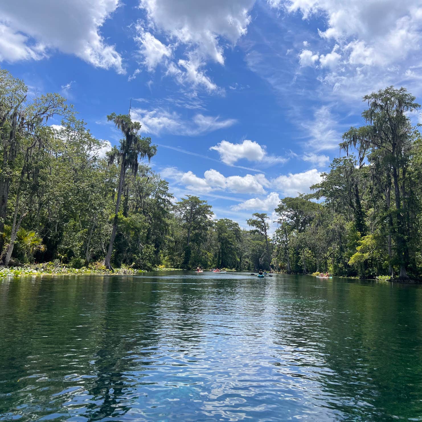 Silver Springs State Park Campground | Ocala, Florida