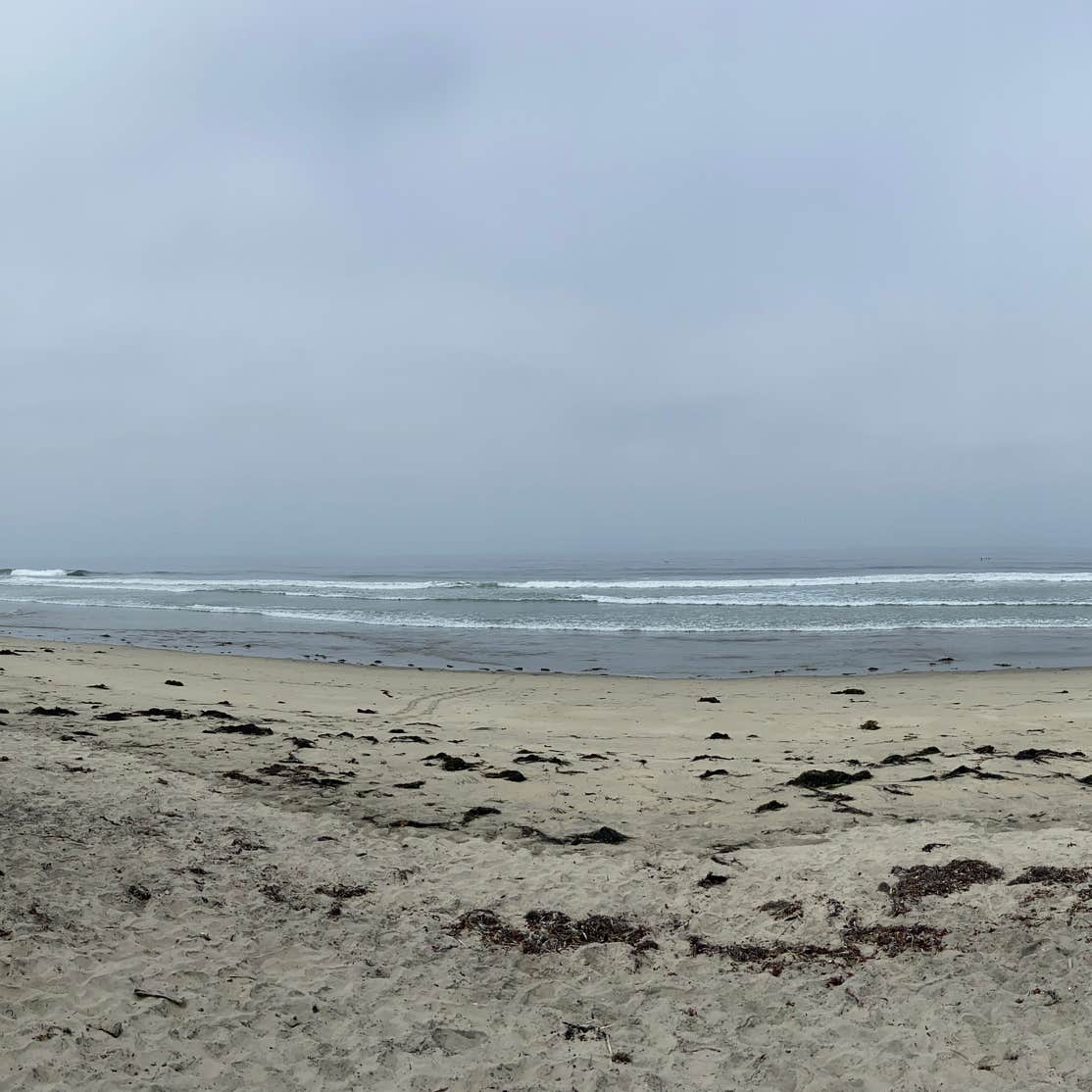 Silver Strand State Beach Campground | Coronado, California