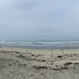 Silver Strand State Beach Campground | Coronado, California