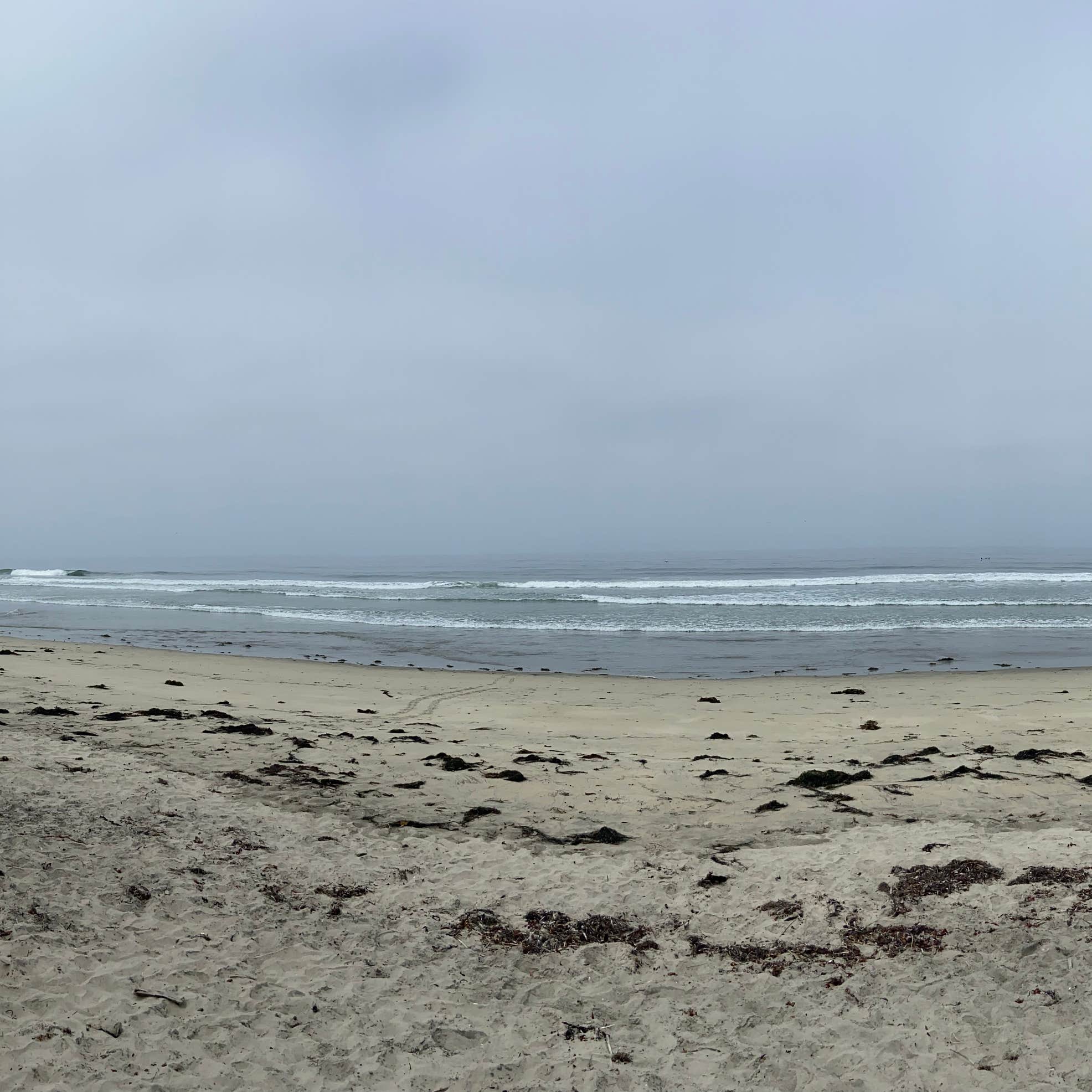Silver Strand State Beach Campground | Coronado, California