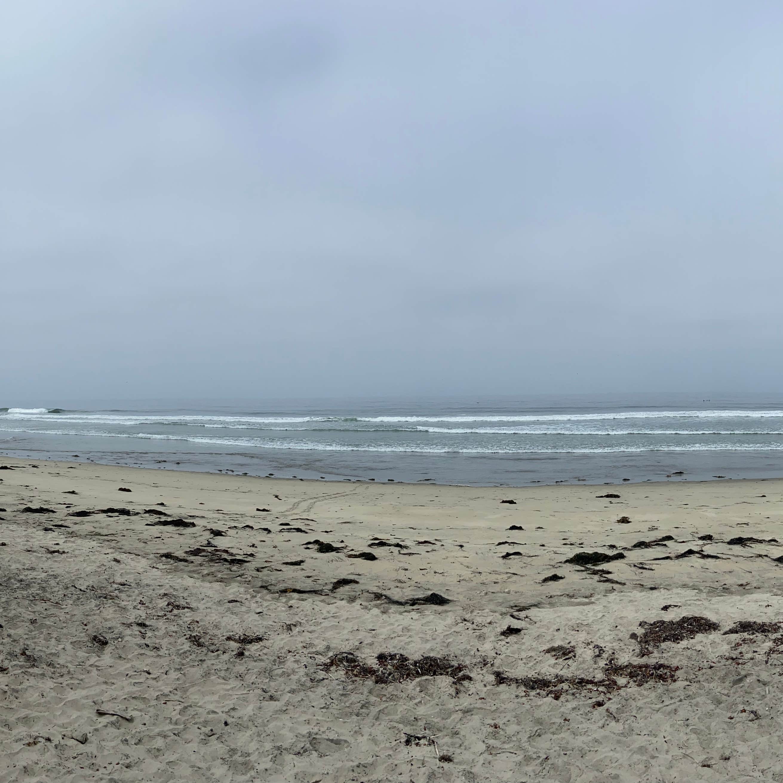 Silver Strand State Beach Campground | Coronado, California