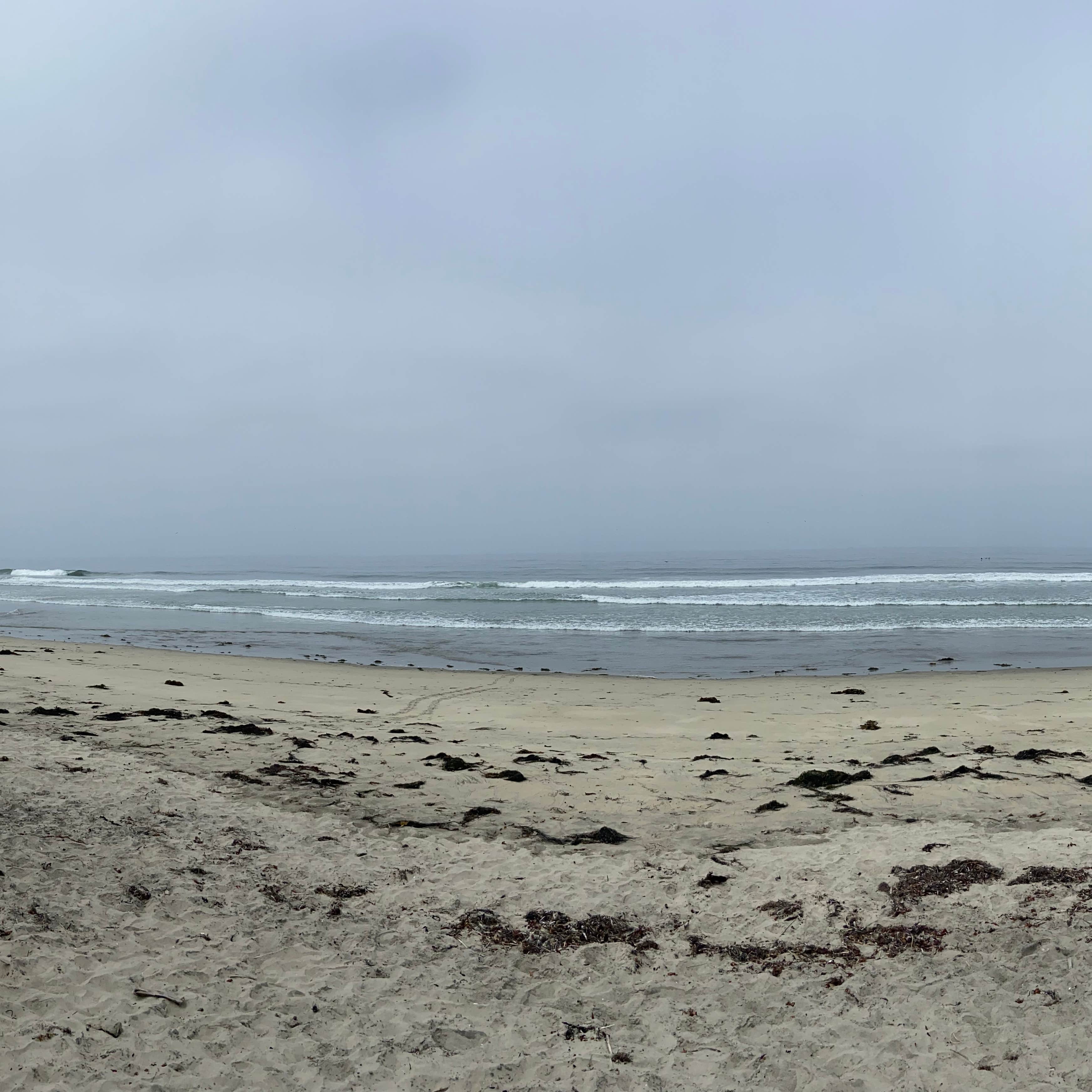Silver Strand State Beach Campground | Coronado, California