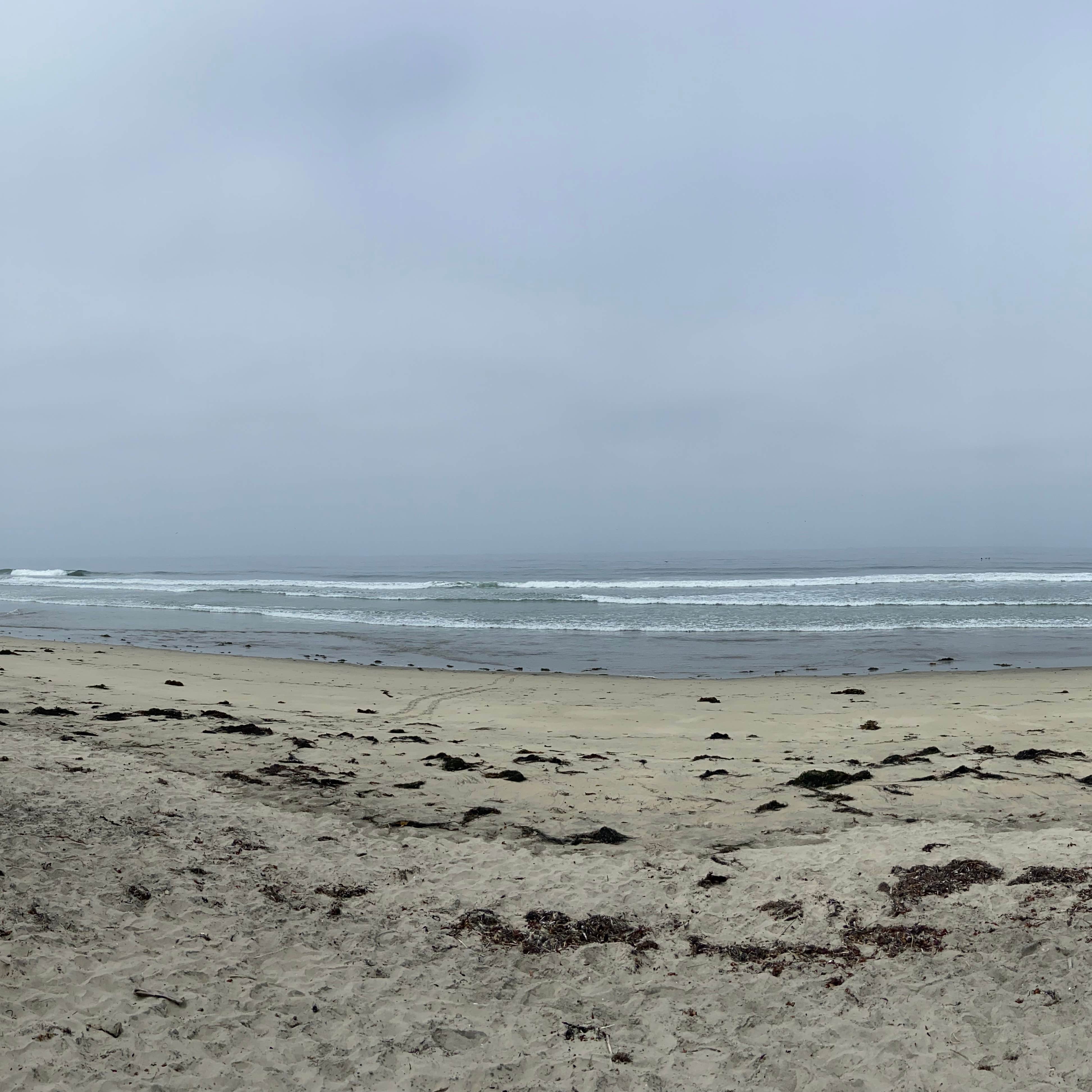 Silver Strand State Beach Campground | Coronado, California
