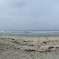 Silver Strand State Beach Campground | Coronado, California
