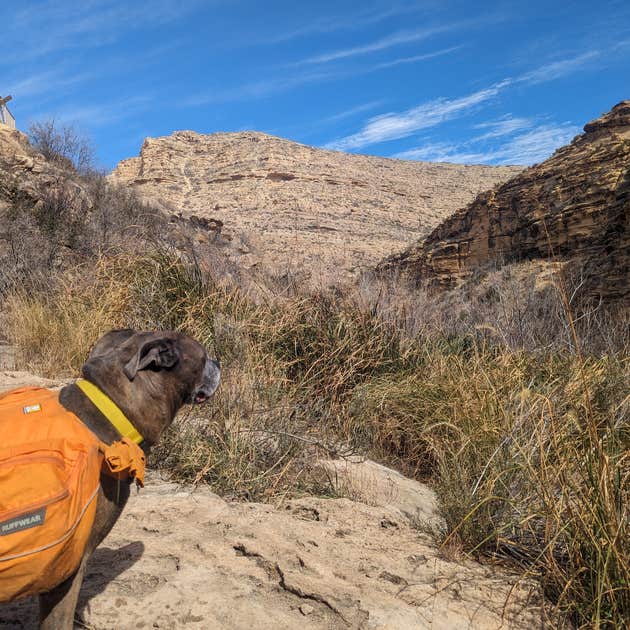 Sitting Bull Falls Dispersed Camping | Carlsbad Caverns, New Mexico