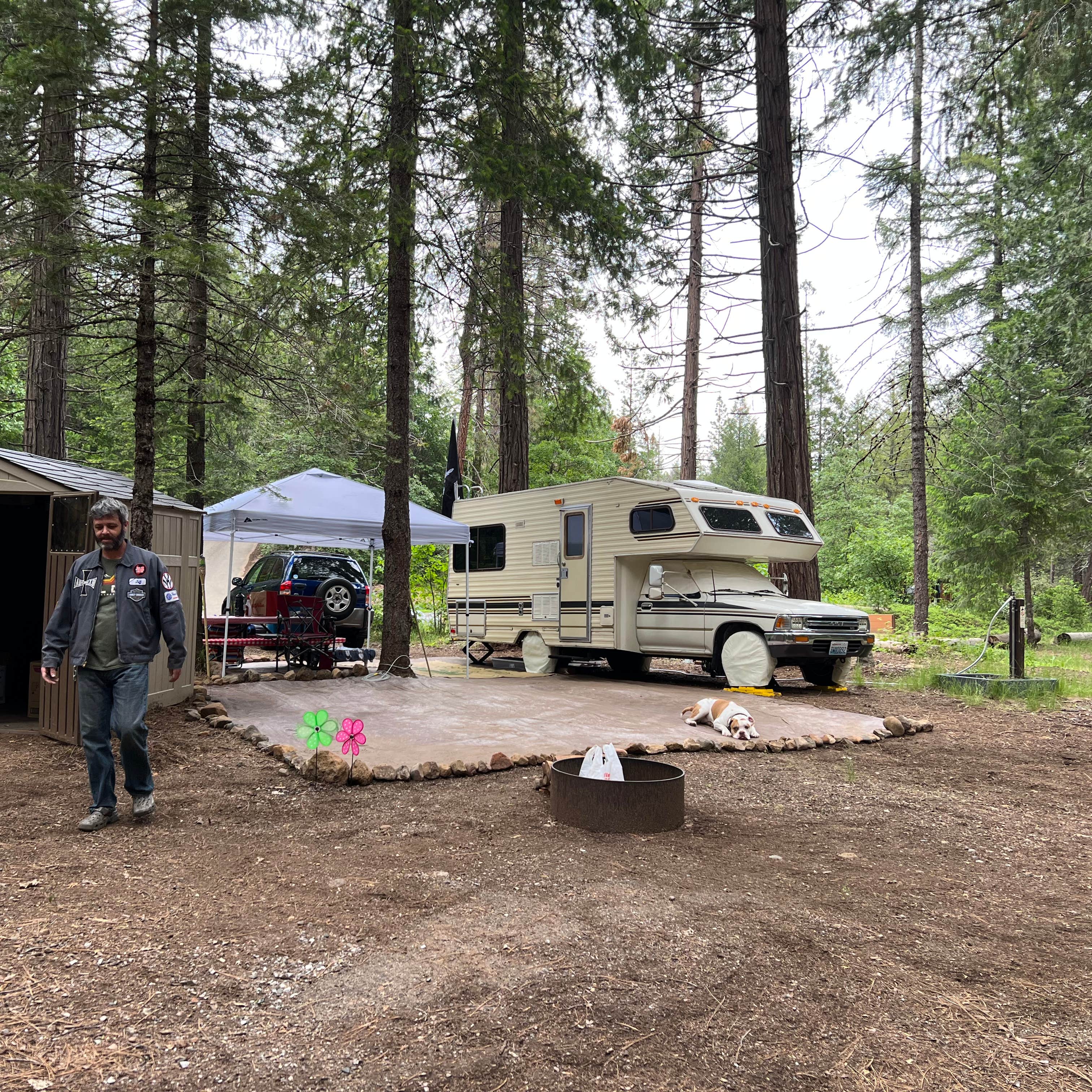Sly Park Recreation Area Camping | Pollock Pines, California