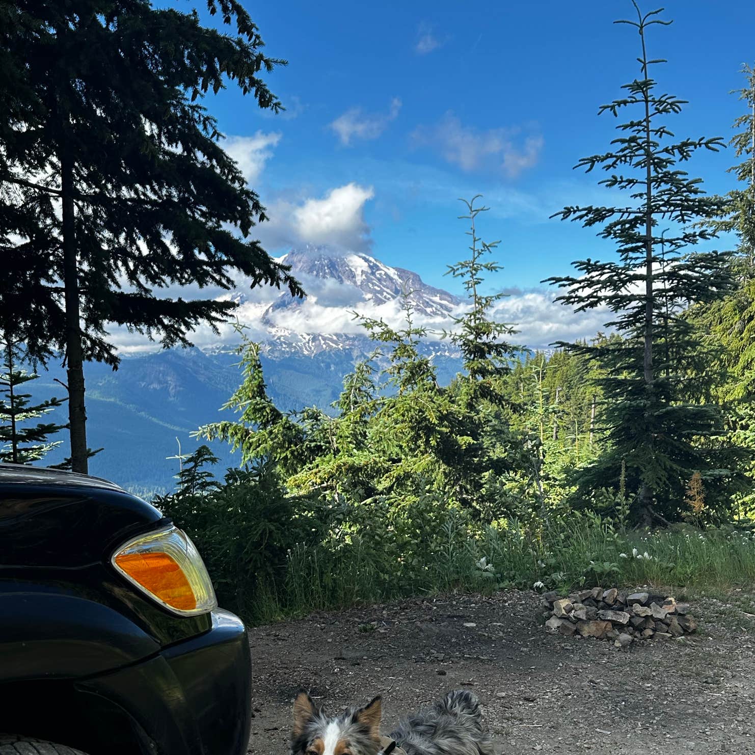 Small Site but Million $ View! Camping | Longmire, Washington