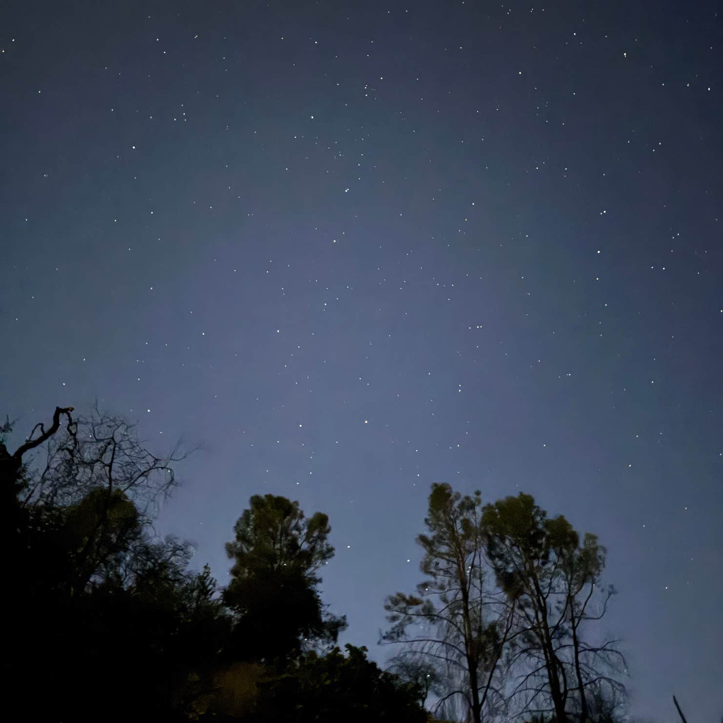 smittle creek Camping | Witter Springs, California
