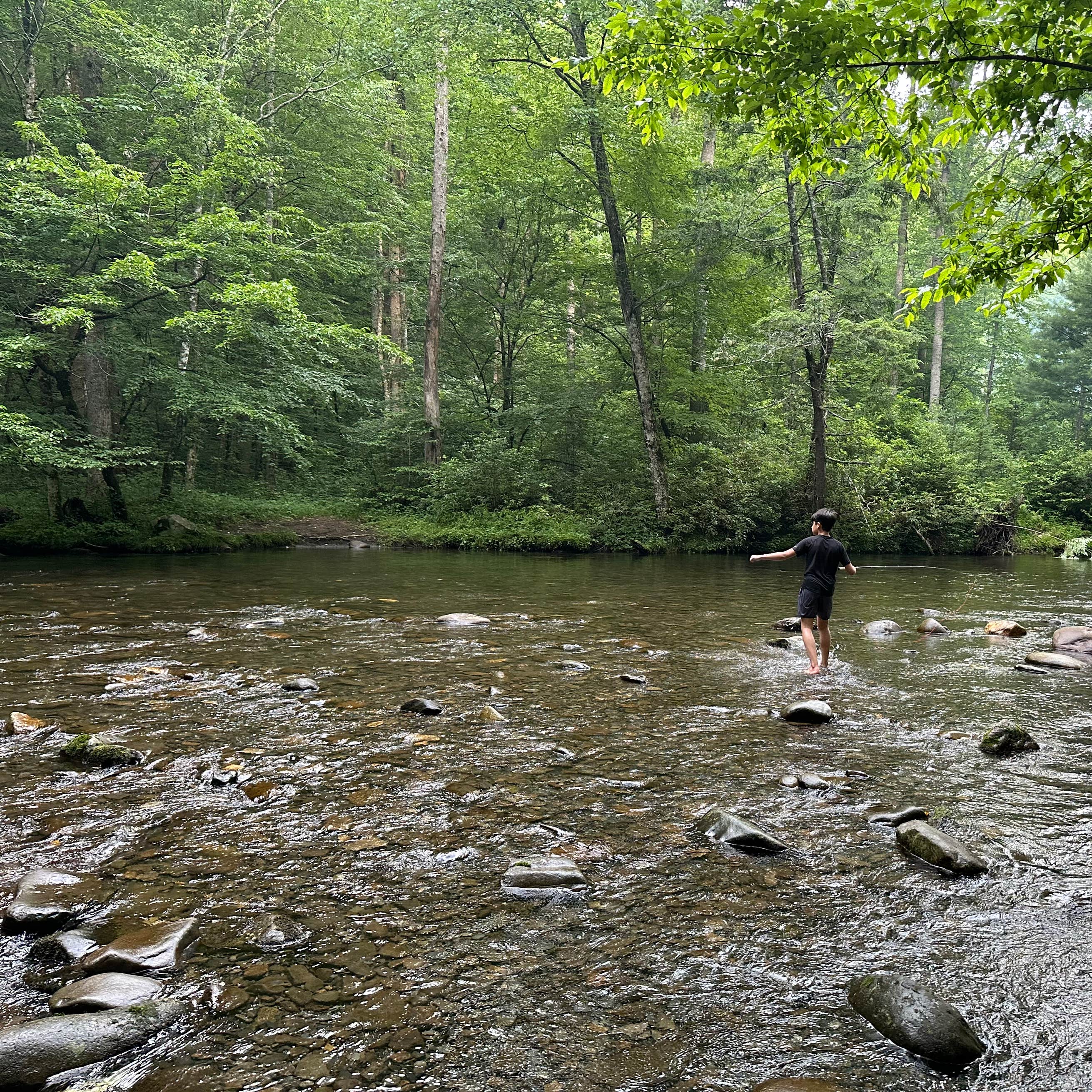 Smokemont Campground — Great Smoky Mountains National Park | Cherokee ...