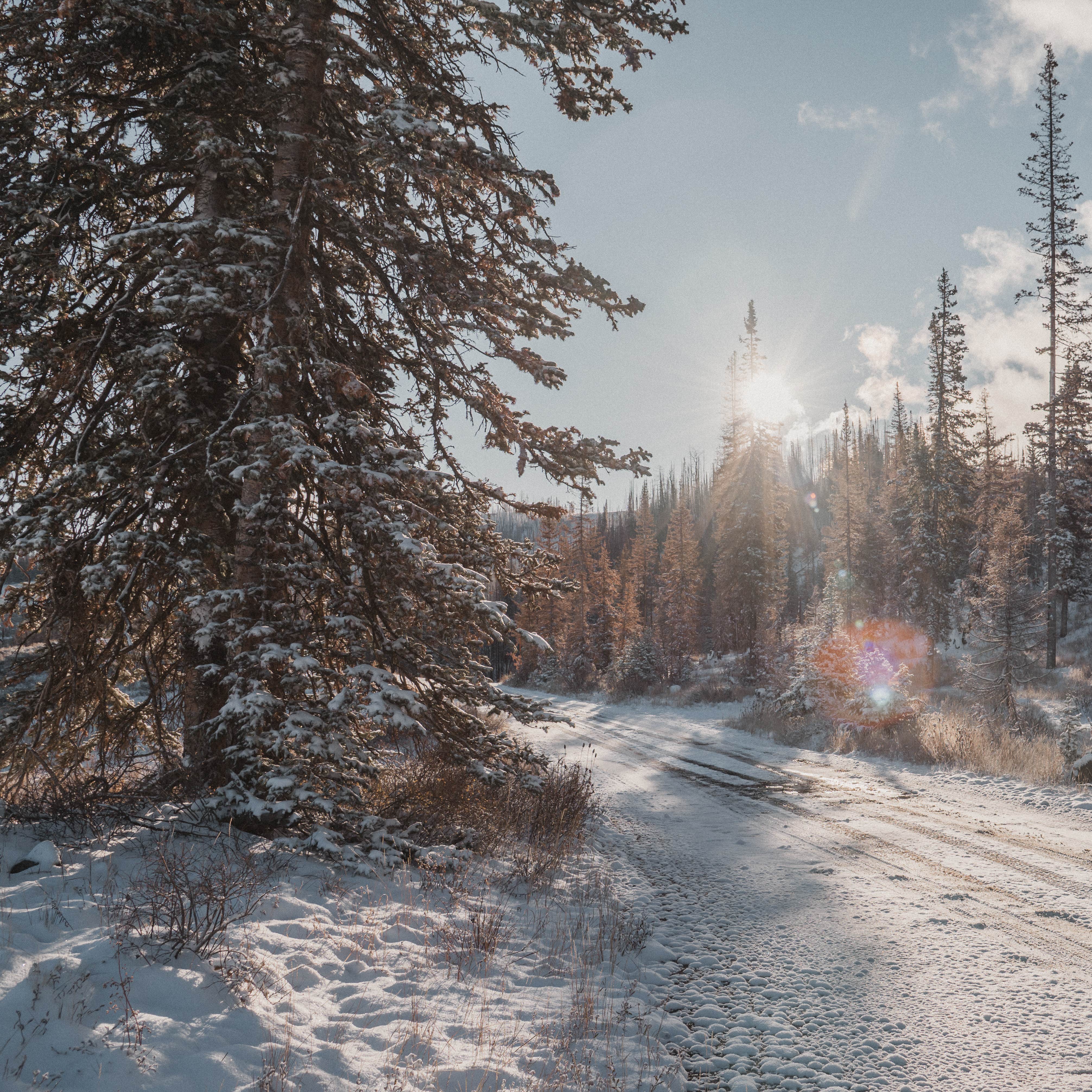 Soapstone Basin Dispersed Camping | Kamas, Utah