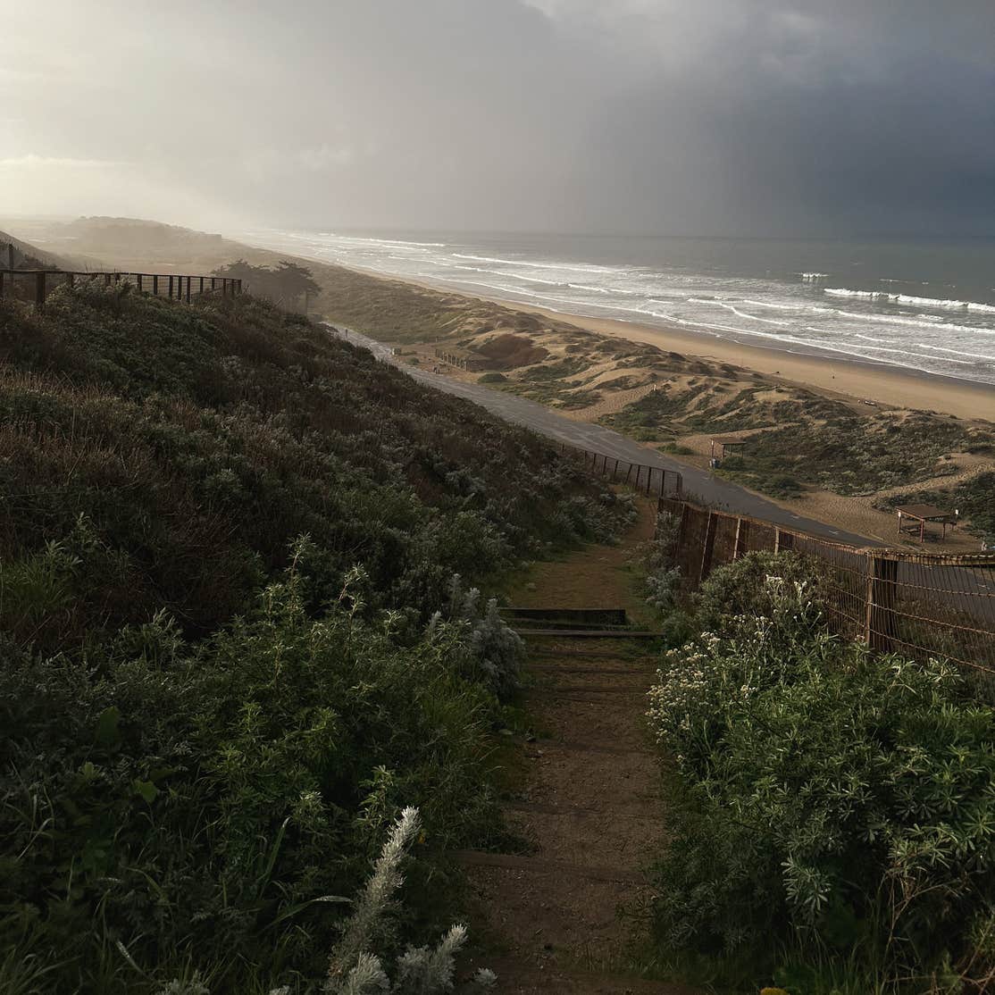 Sunset State Beach Campground | Watsonville, California