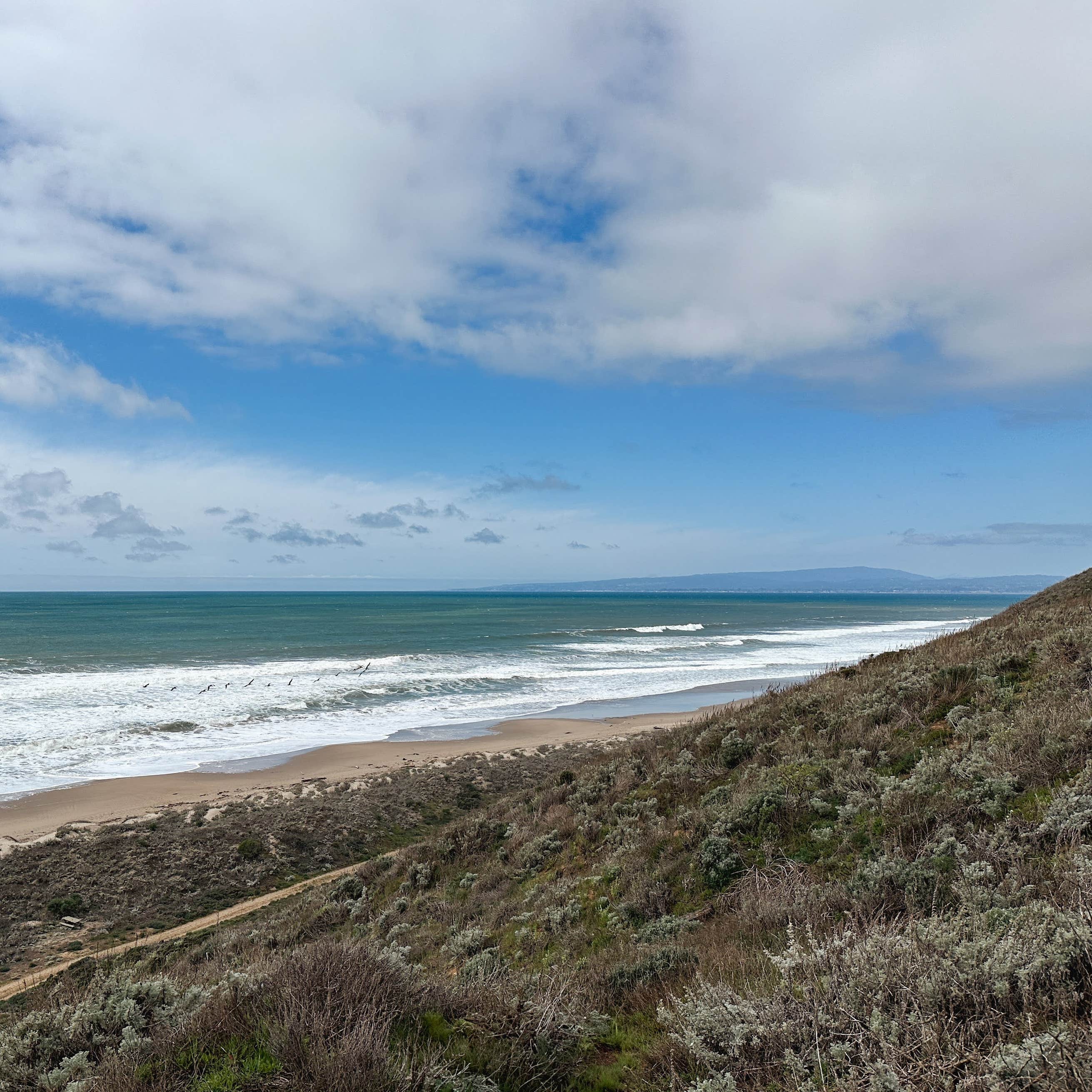 Sunset State Beach Campground | Watsonville, California