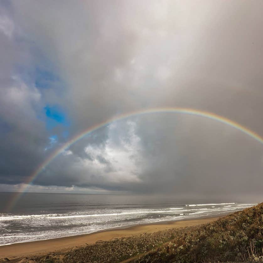 Sunset State Beach Campground | Watsonville, California