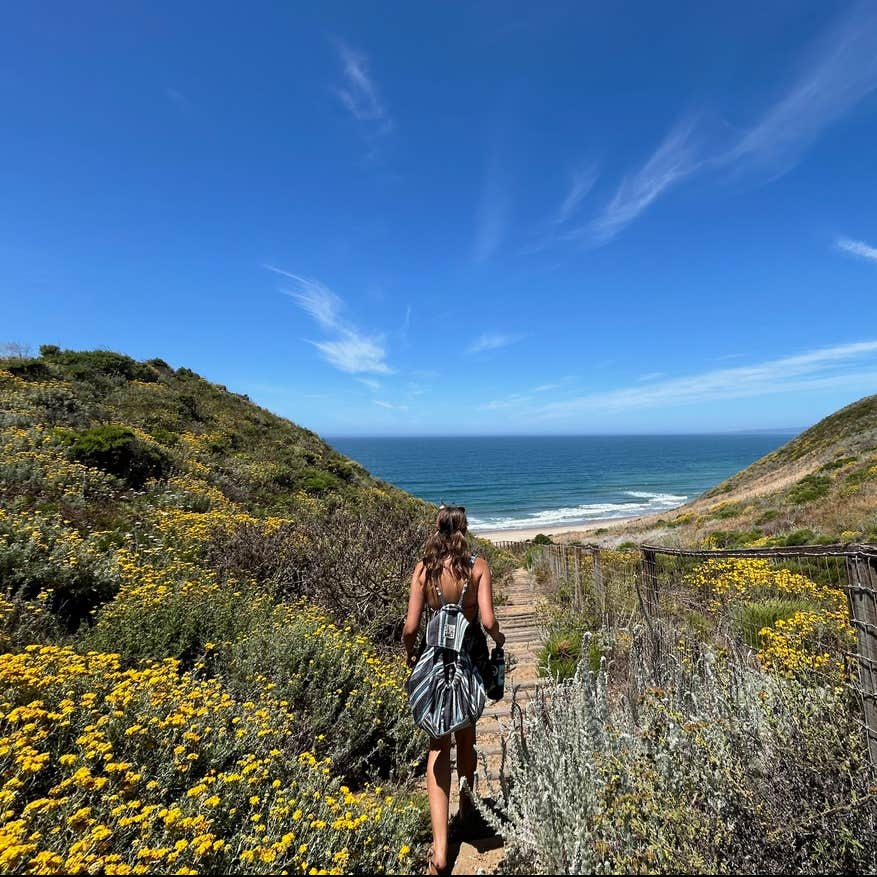 Sunset State Beach Campground | Watsonville, California