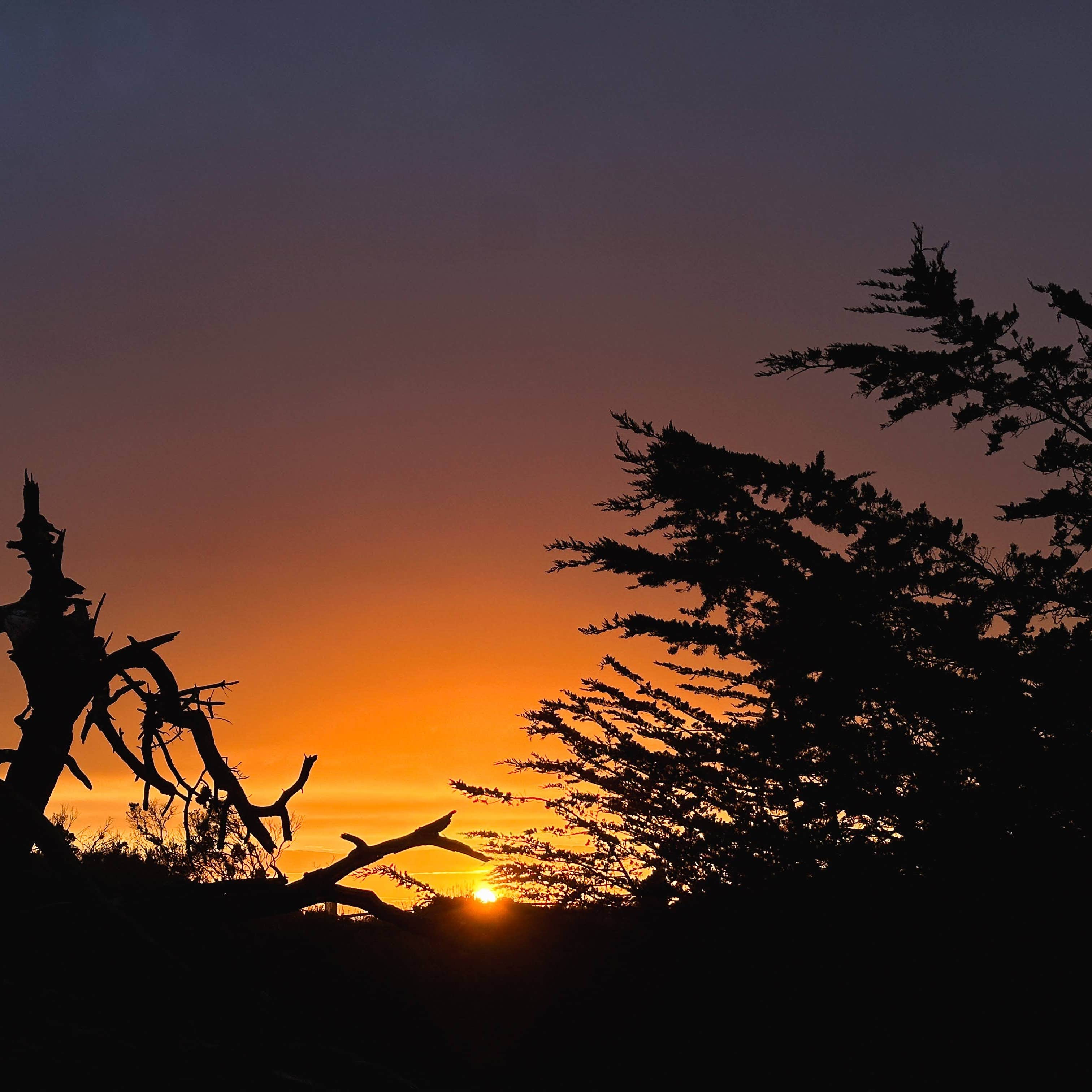 Sunset State Beach Campground | Watsonville, California
