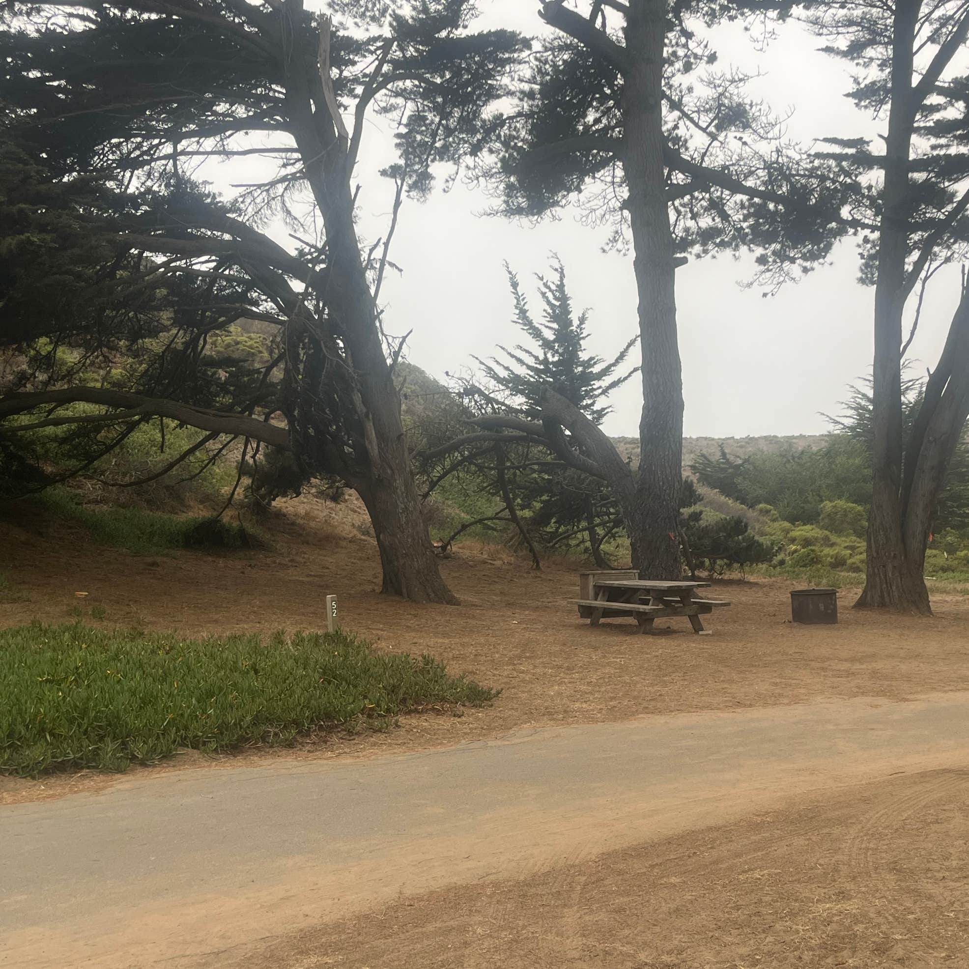 Sunset State Beach Campground | Watsonville, California