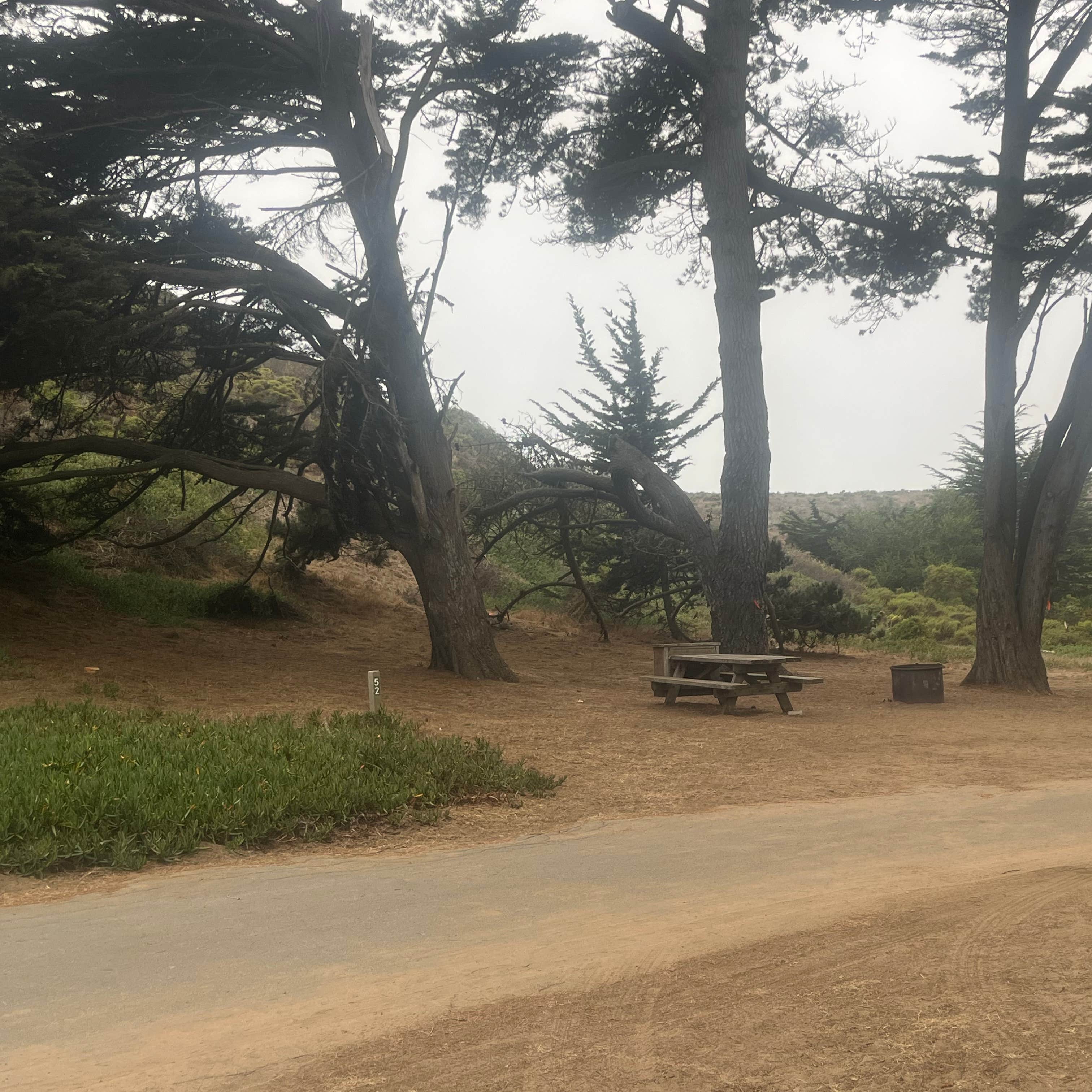 Sunset State Beach Campground | Watsonville, California