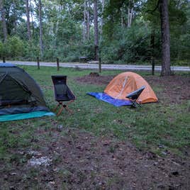Brick House Campground (Sc) — Francis Marion And Sumter National Forests | Kinards, South Carolina