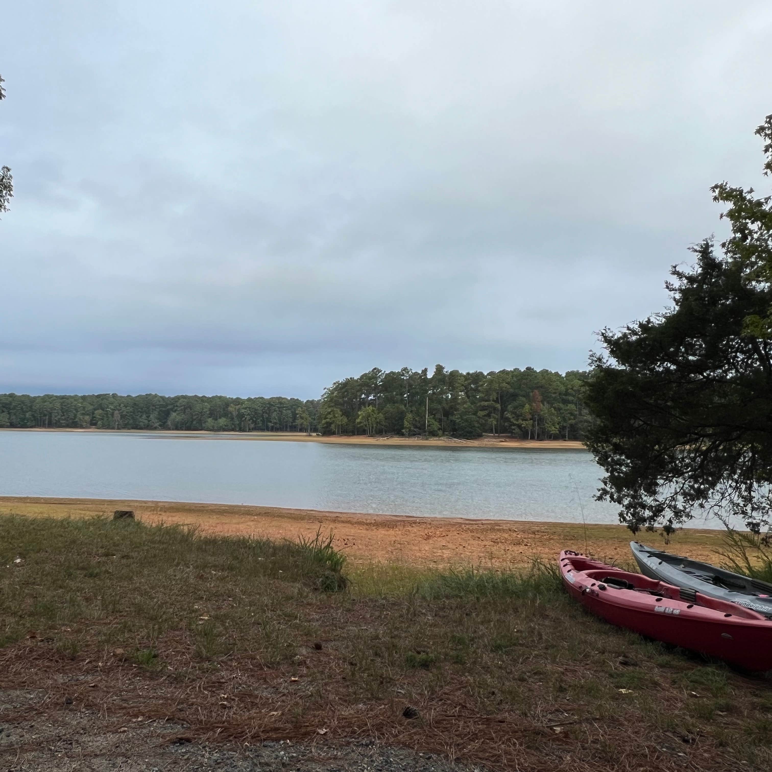 Hamilton Branch State Park Campground | Modoc, South Carolina