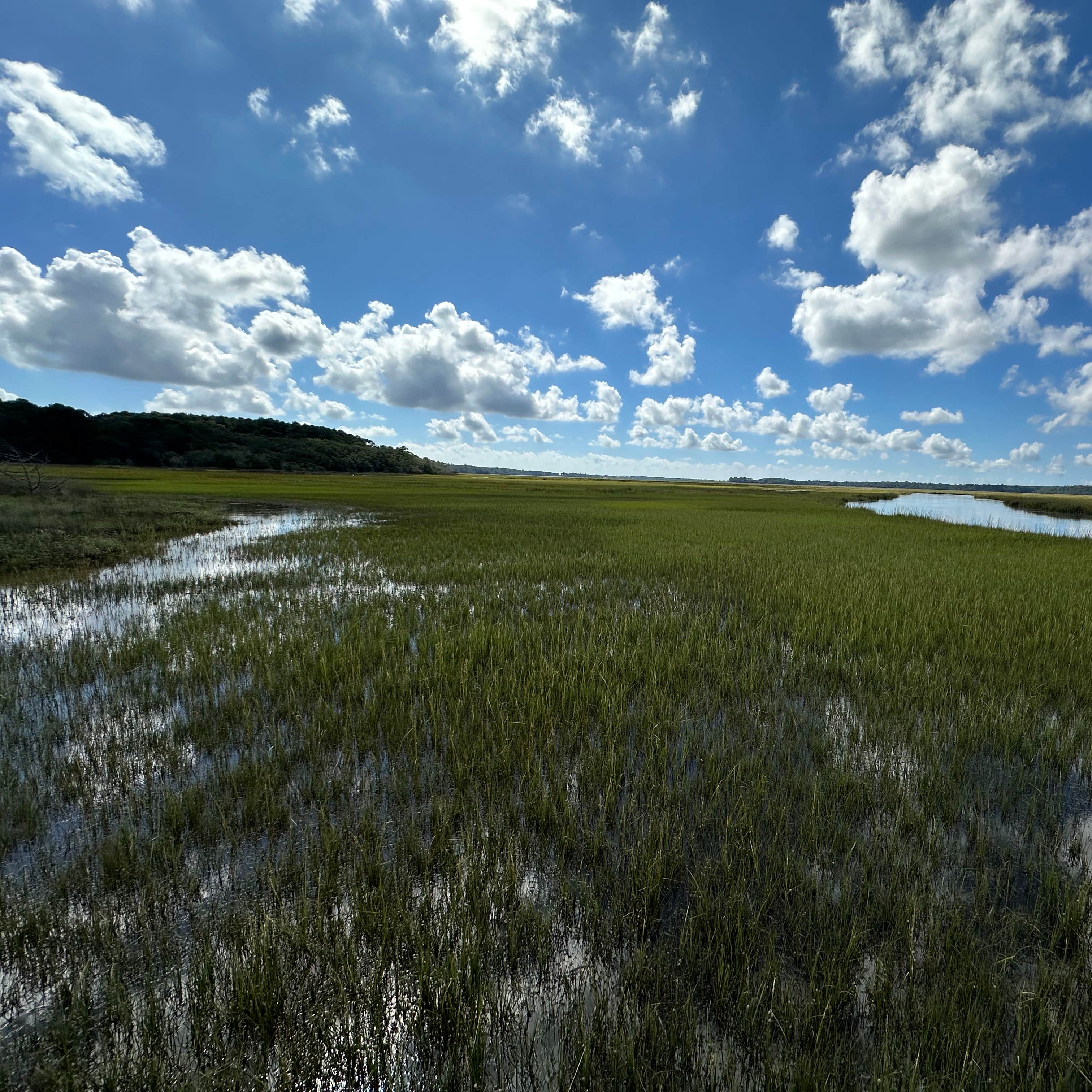 Campground at James Island County Park | Charleston, SC