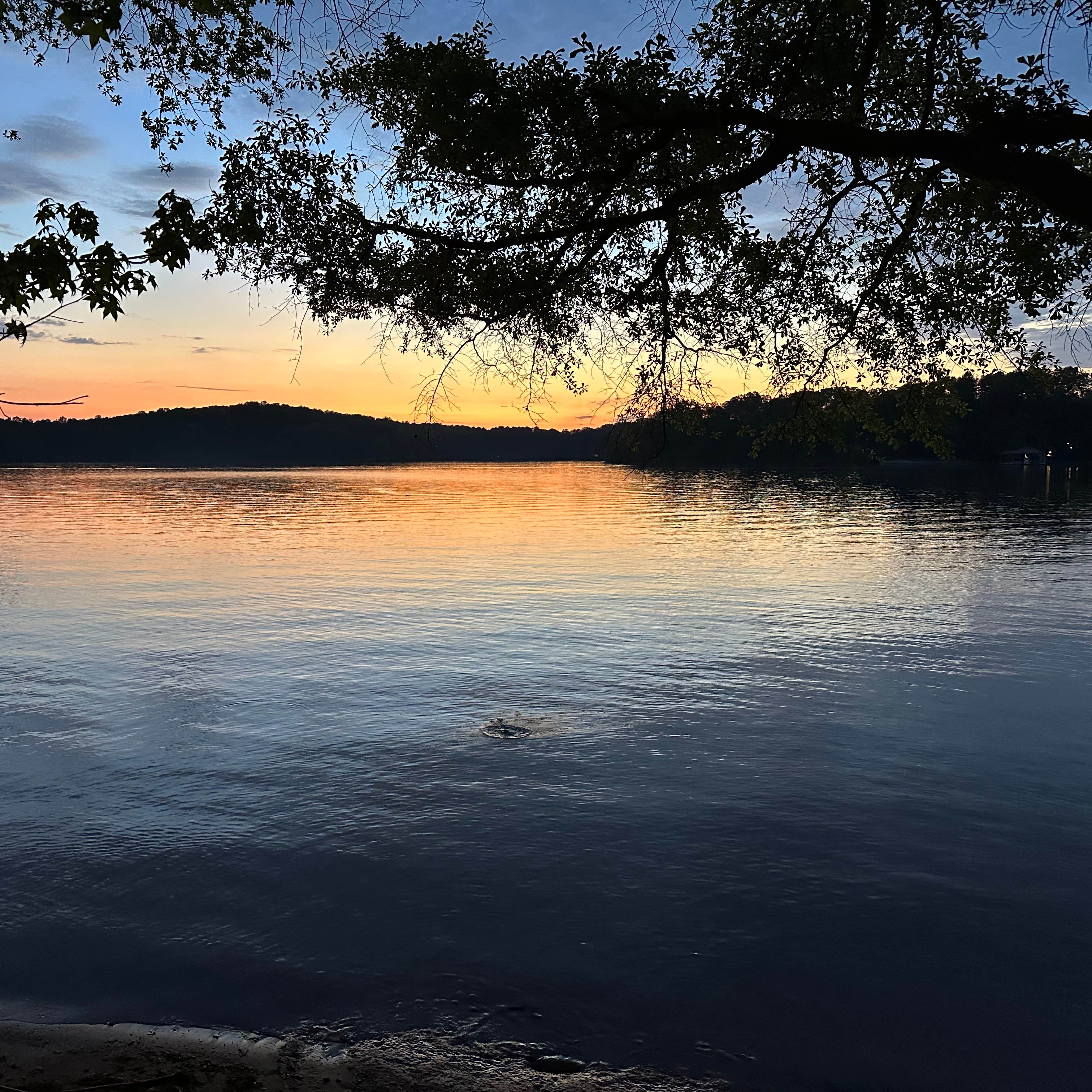 Lake Hartwell State Park Campground | Fair Play, South Carolina