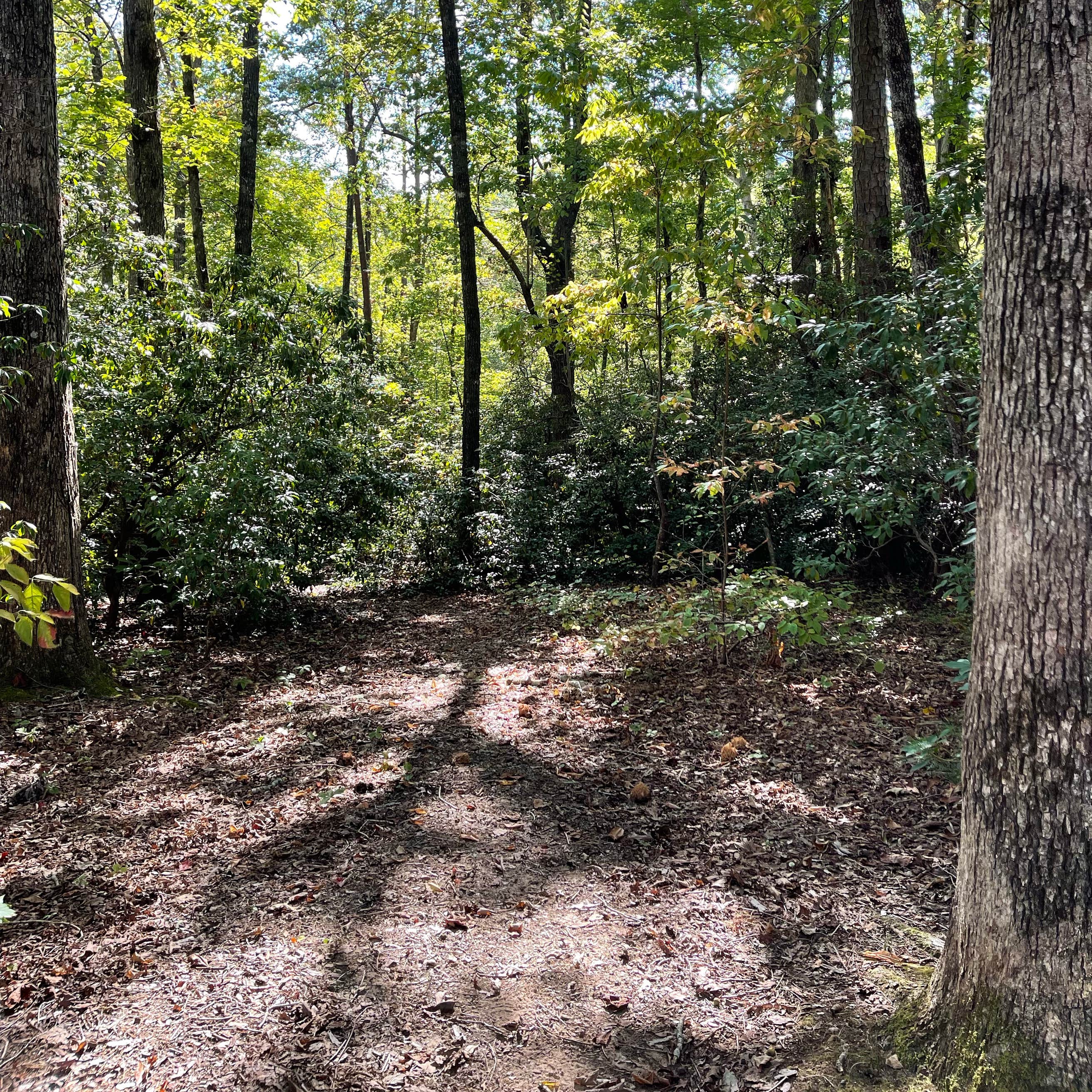 Table Rock State Park Campground | Sunset, South Carolina