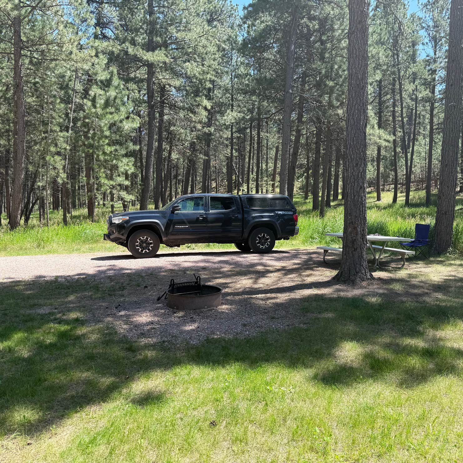 Blue Bell Campground — Custer State Park | Custer, South Dakota