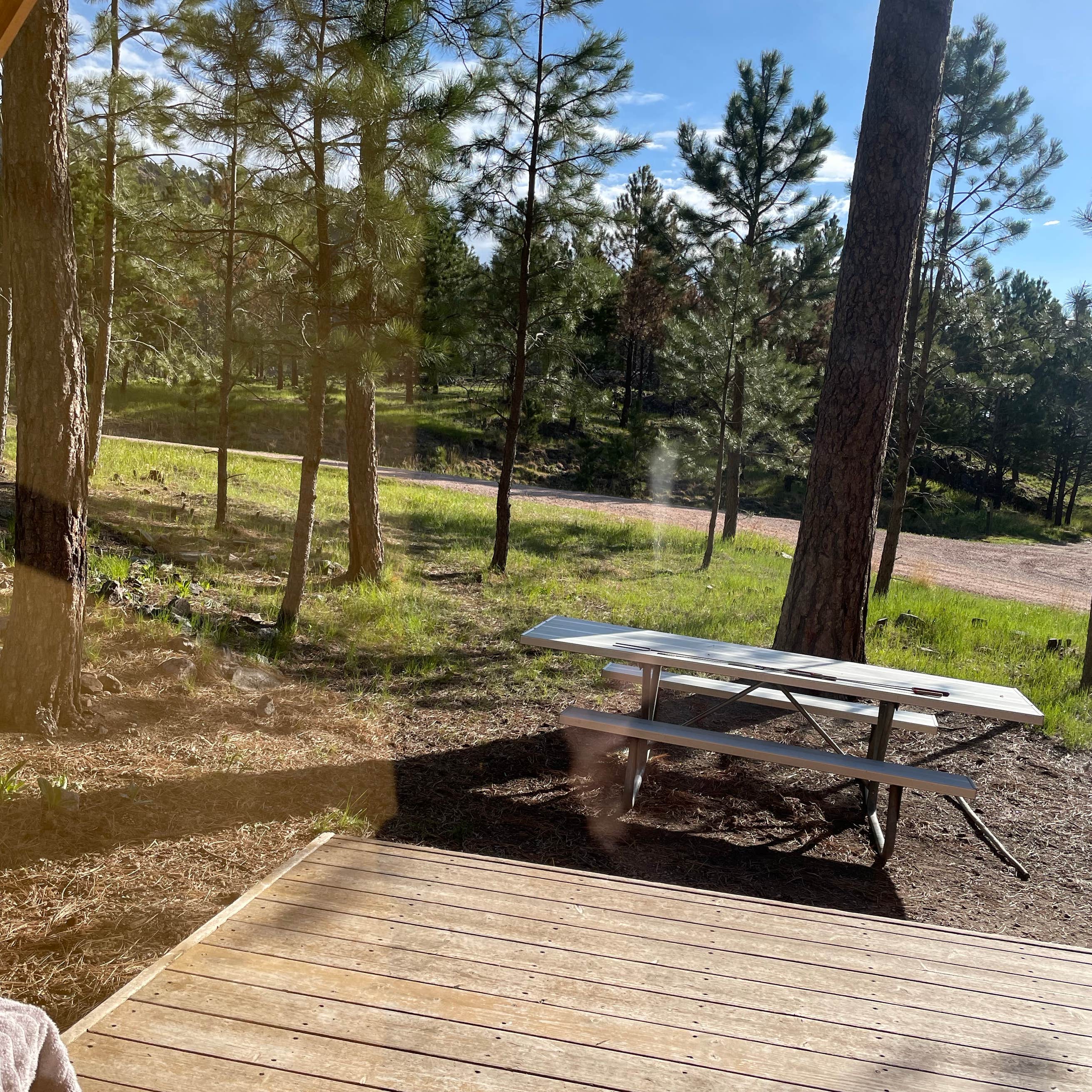 Blue Bell Campground — Custer State Park | Custer, South Dakota