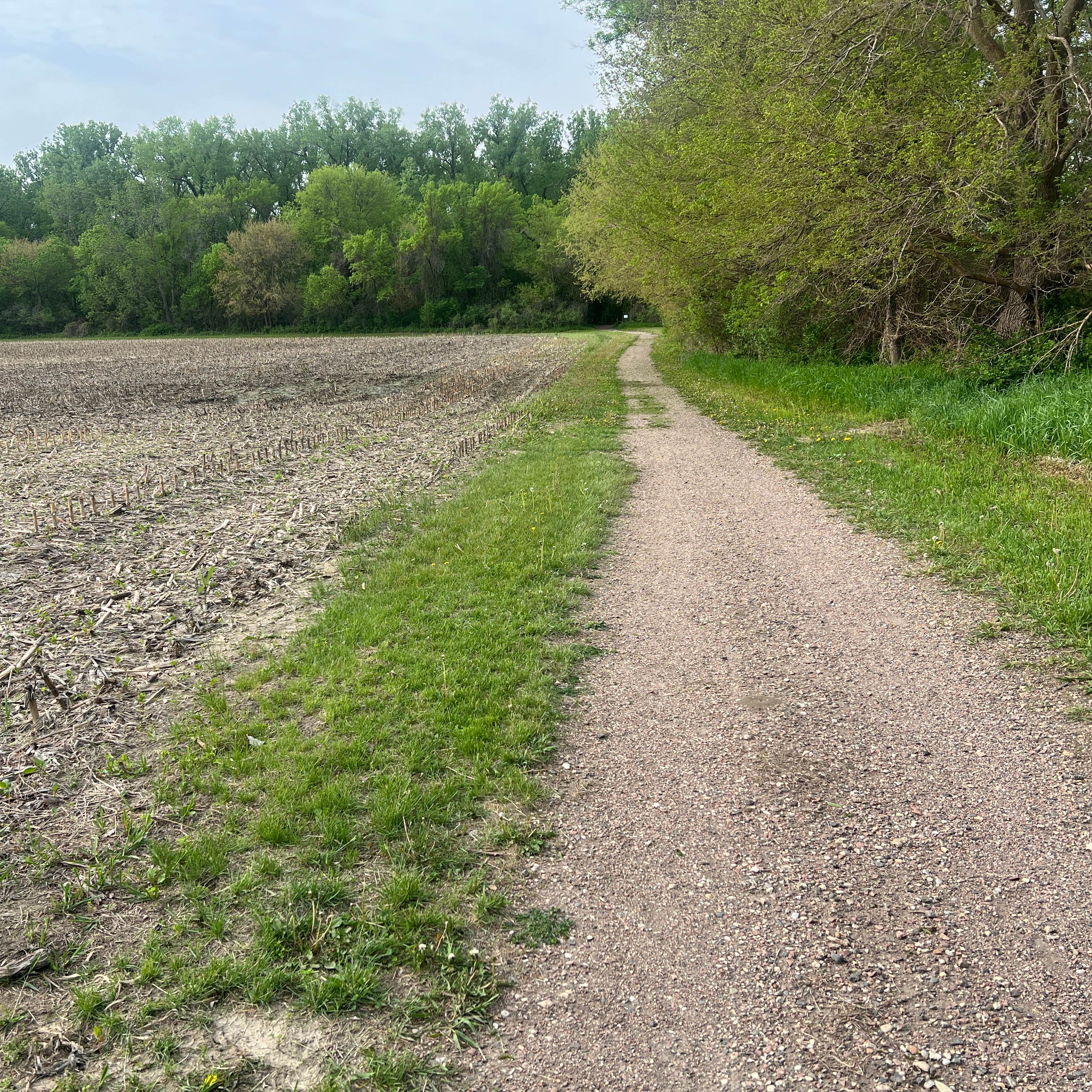 Clay County Park — Clay County Camping | Vermillion, South Dakota