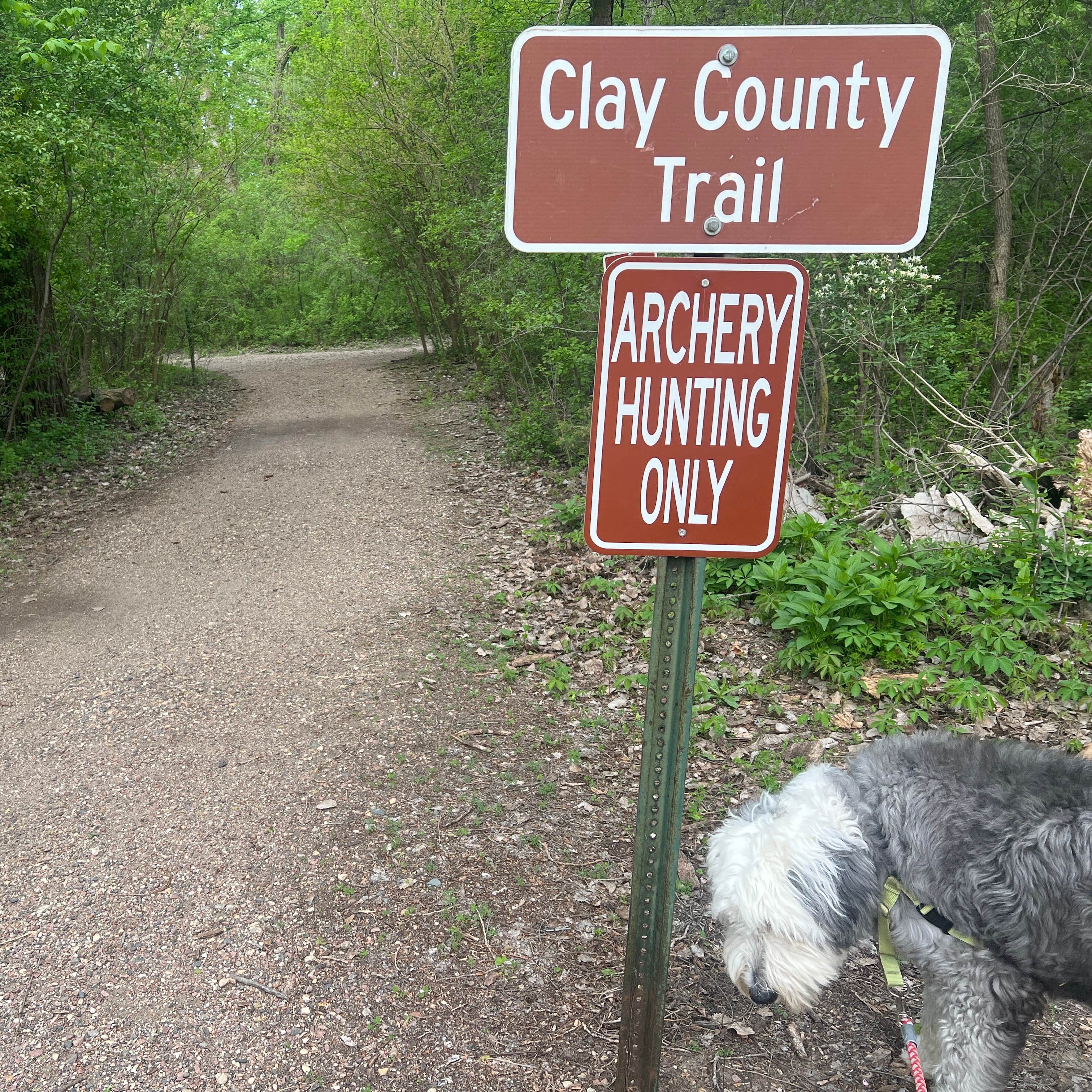 Clay County Park — Clay County Camping | Vermillion, South Dakota