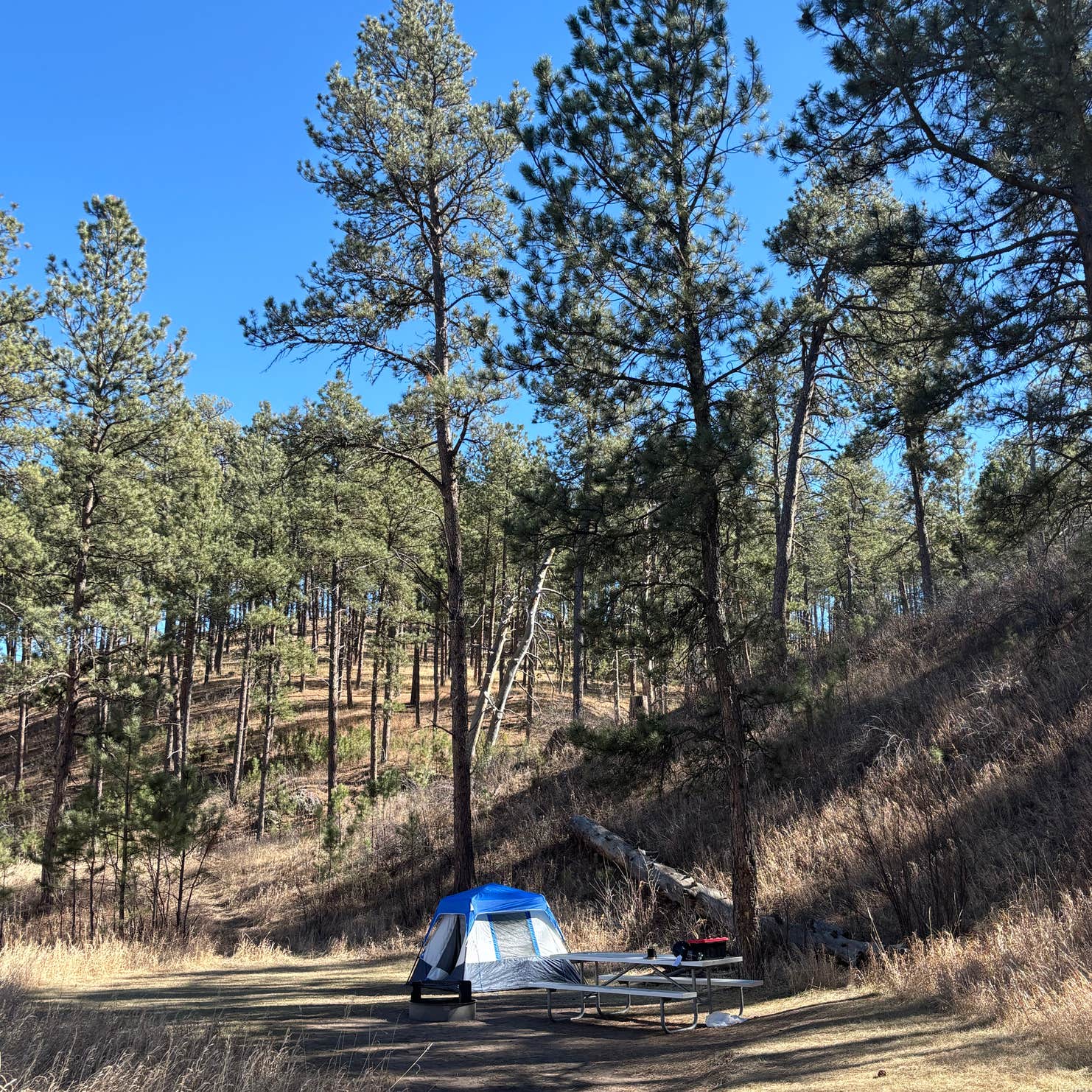 Elk Mountain Campground — Wind Cave National Park | Pringle, South Dakota