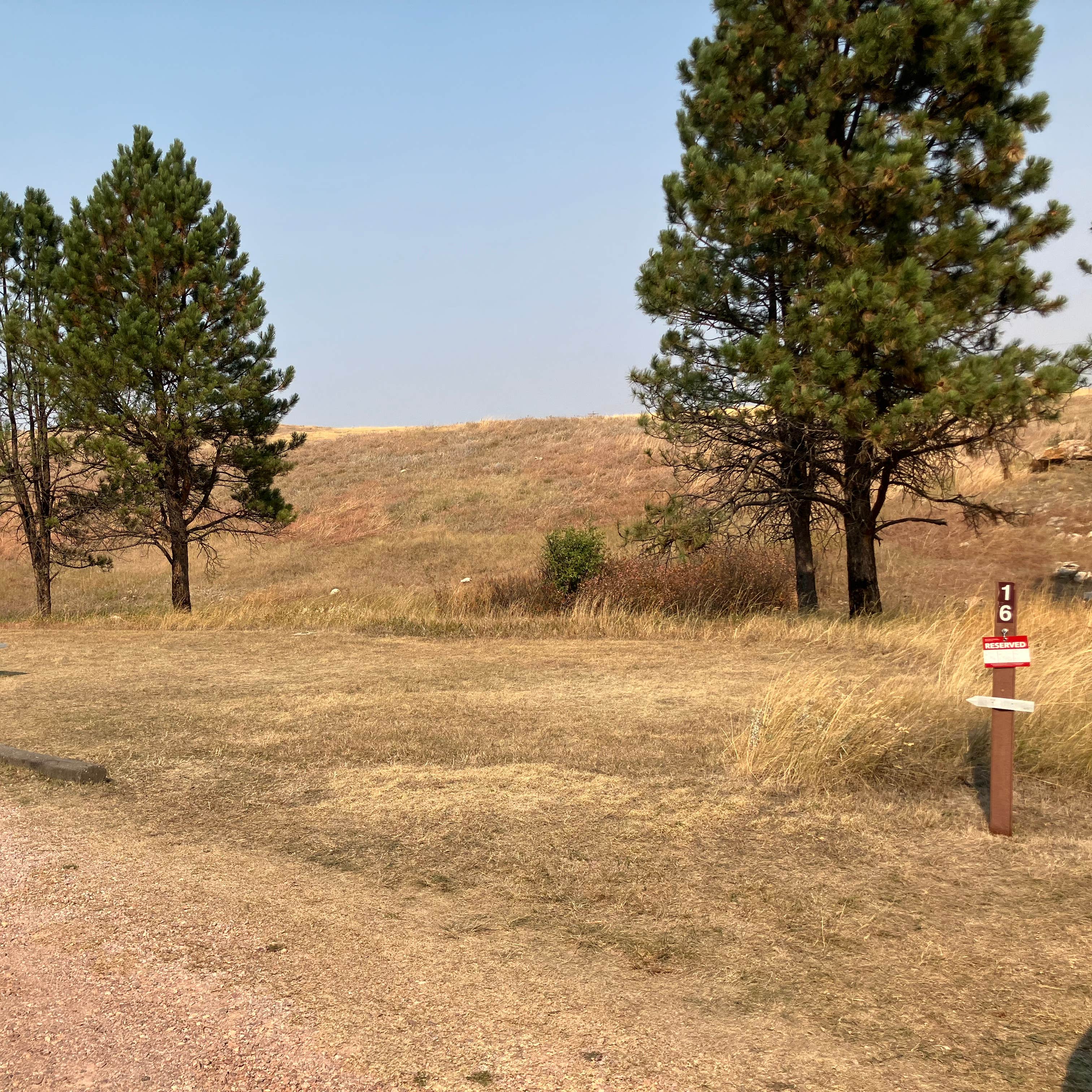 Elk Mountain Campground — Wind Cave National Park | Pringle, South Dakota