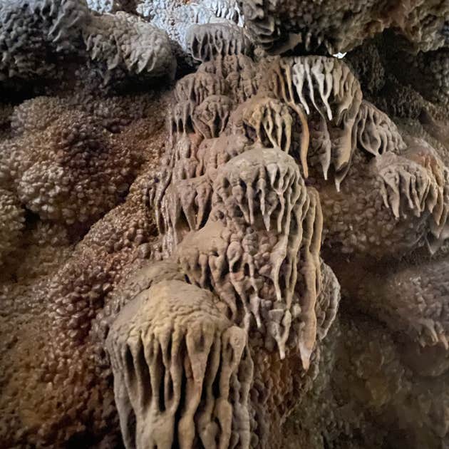 Oreville Campground | Hill City, South Dakota