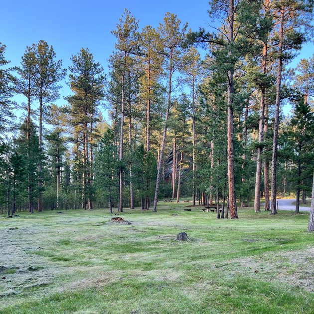 Oreville Campground | Hill City, South Dakota