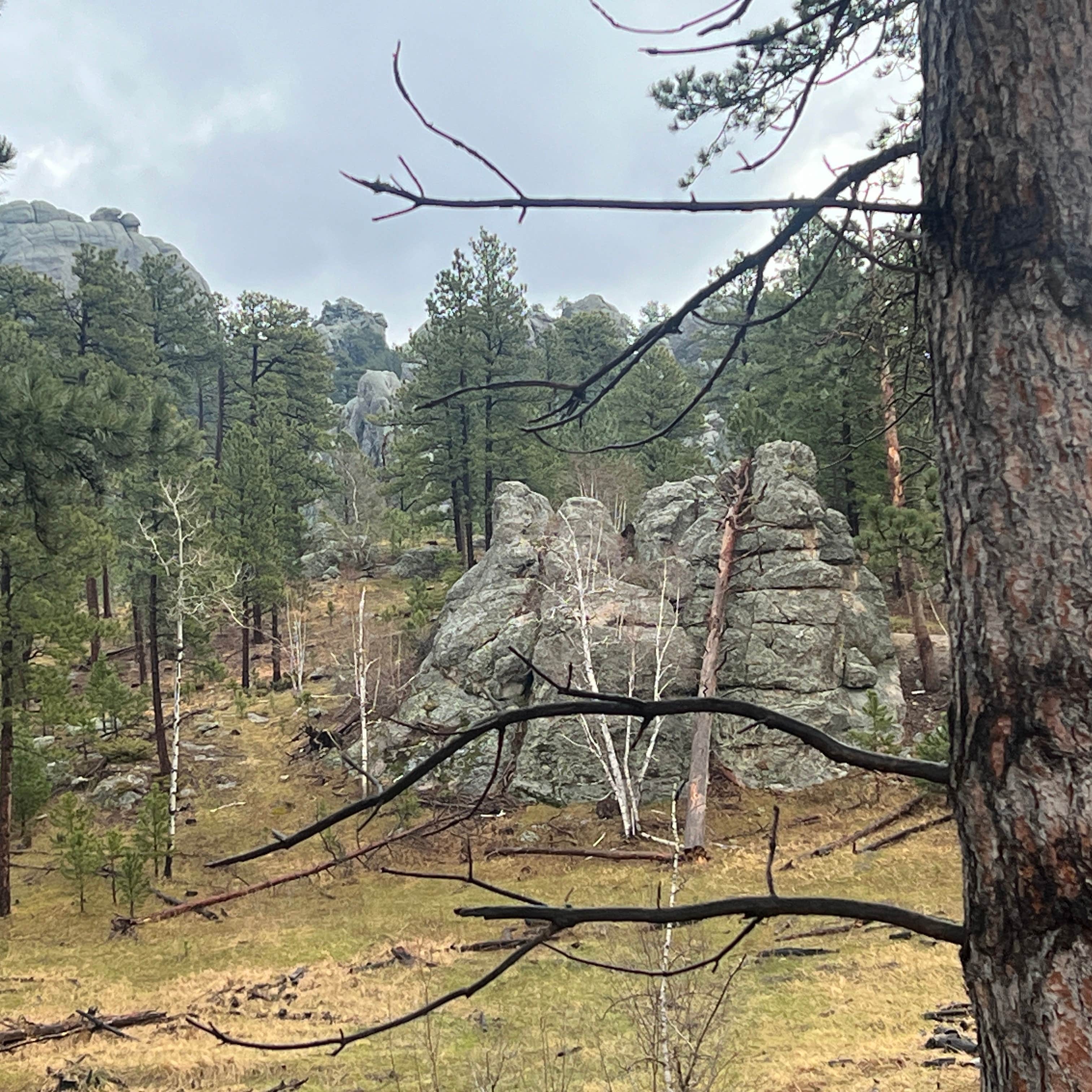 Wrinkled Rock Camping | Keystone, South Dakota