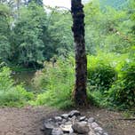 South Fork Calawah River Camping | Forks, Washington