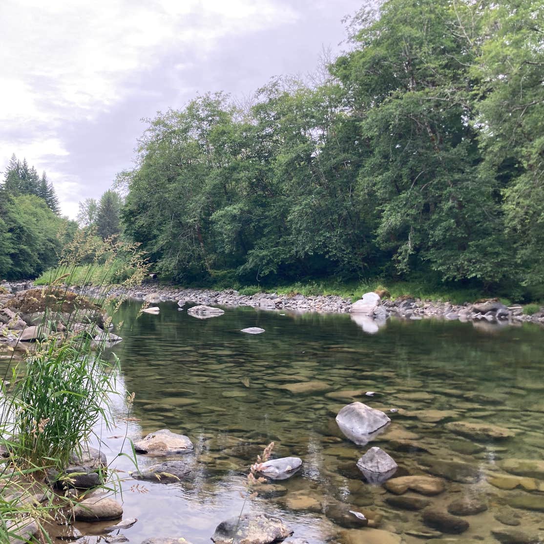 South Fork Calawah River Camping | Forks, Washington