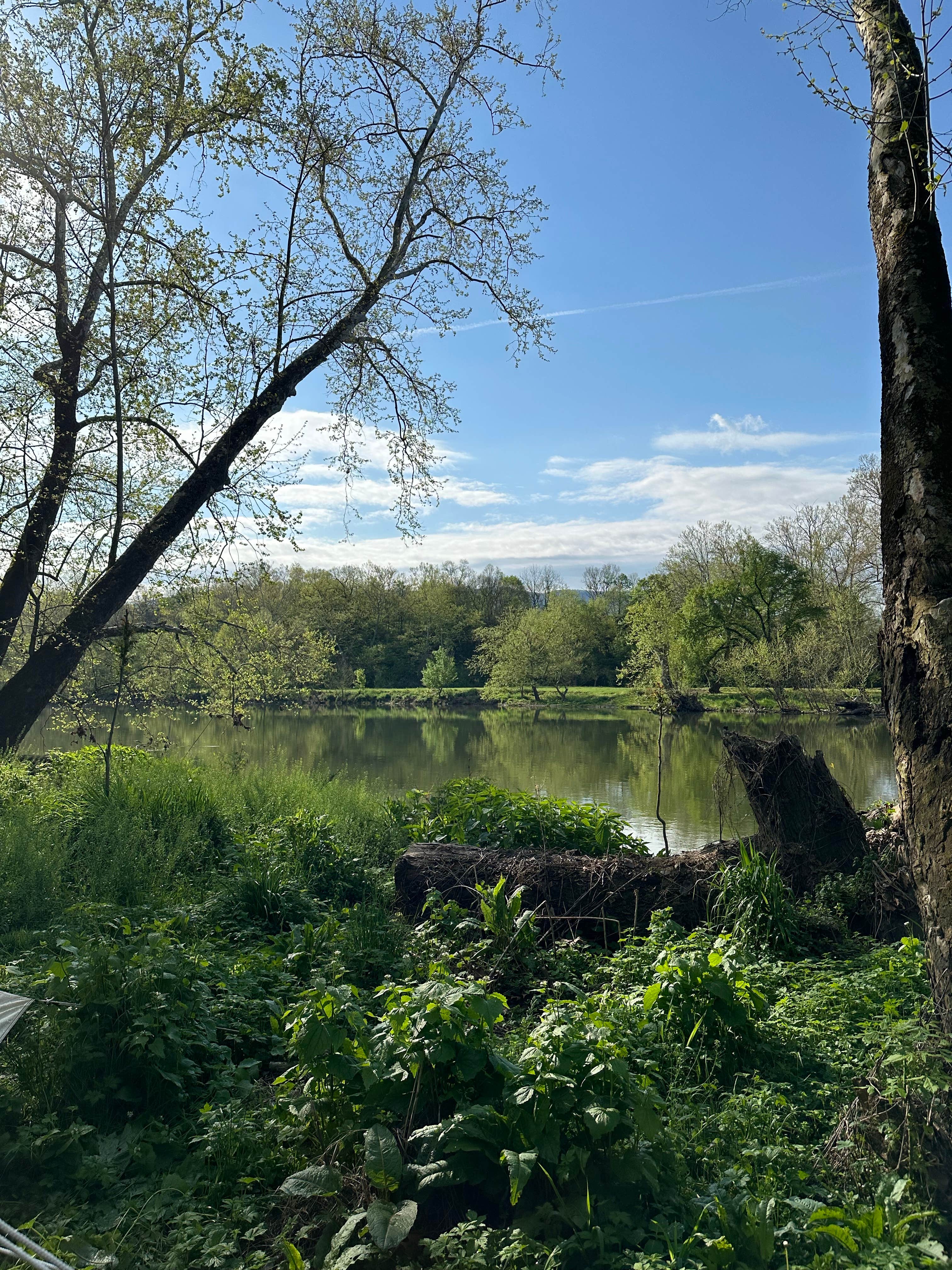 South Fork Shenandoah River Camping | Rileyville, VA