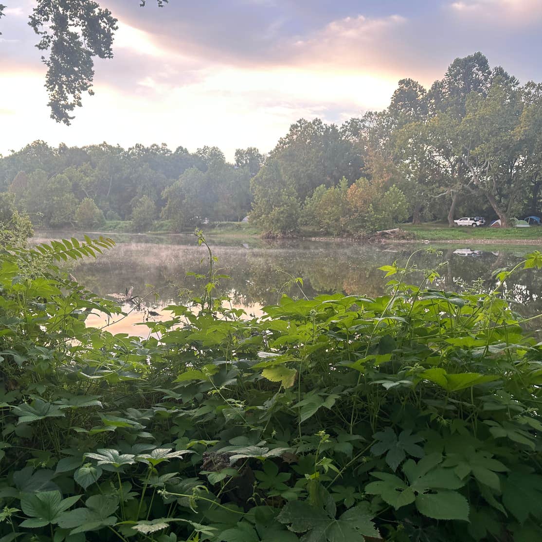 South Fork Shenandoah River Camping | Rileyville, Virginia