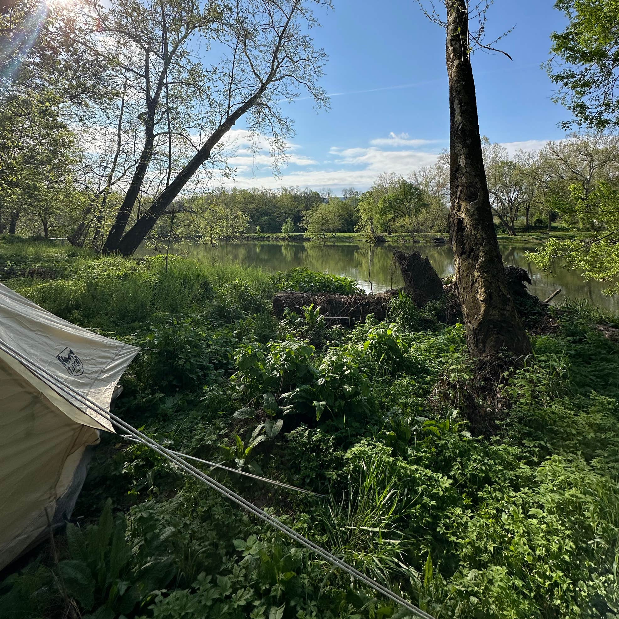 South Fork Shenandoah River Camping | Rileyville, Virginia