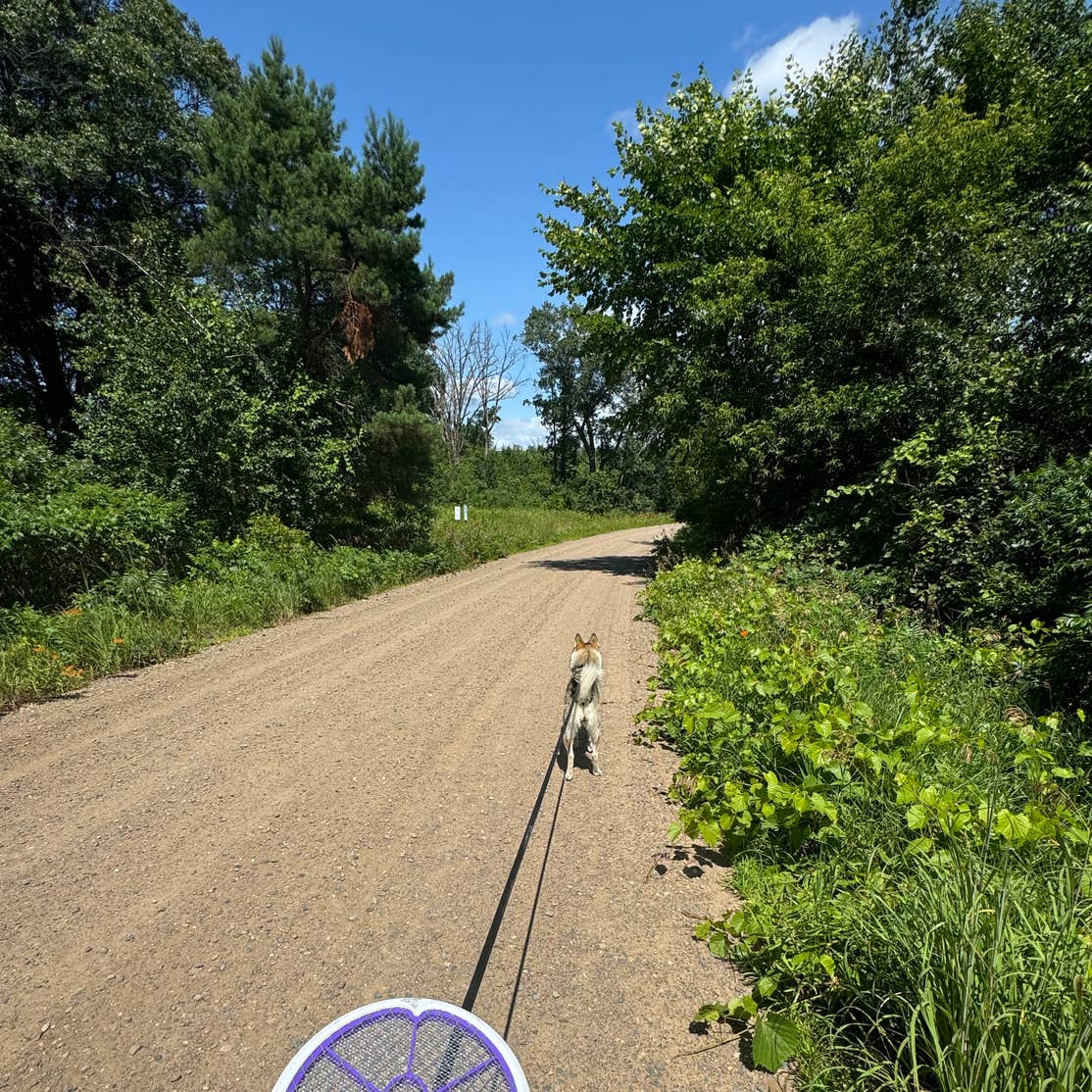 South of Sand Dunes State Forest Camping | Zimmerman, Minnesota