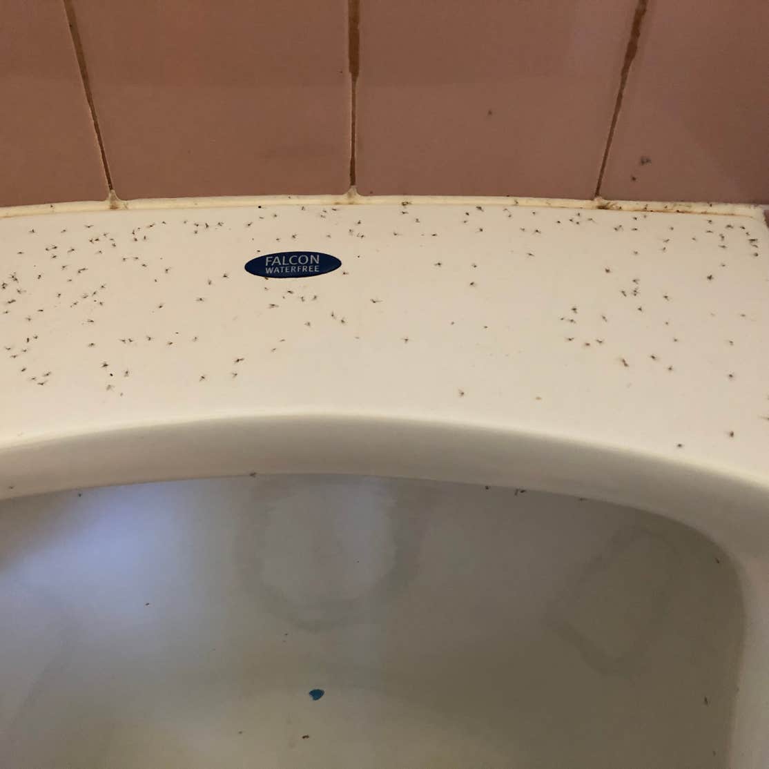 Spider Rock Campground | Canyon De Chelly National Monument, Arizona