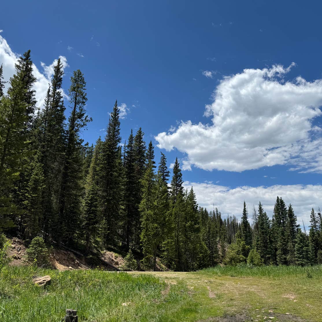 Spring Creek Colorado- Dispersed Camping | Hot Sulphur Springs, Colorado