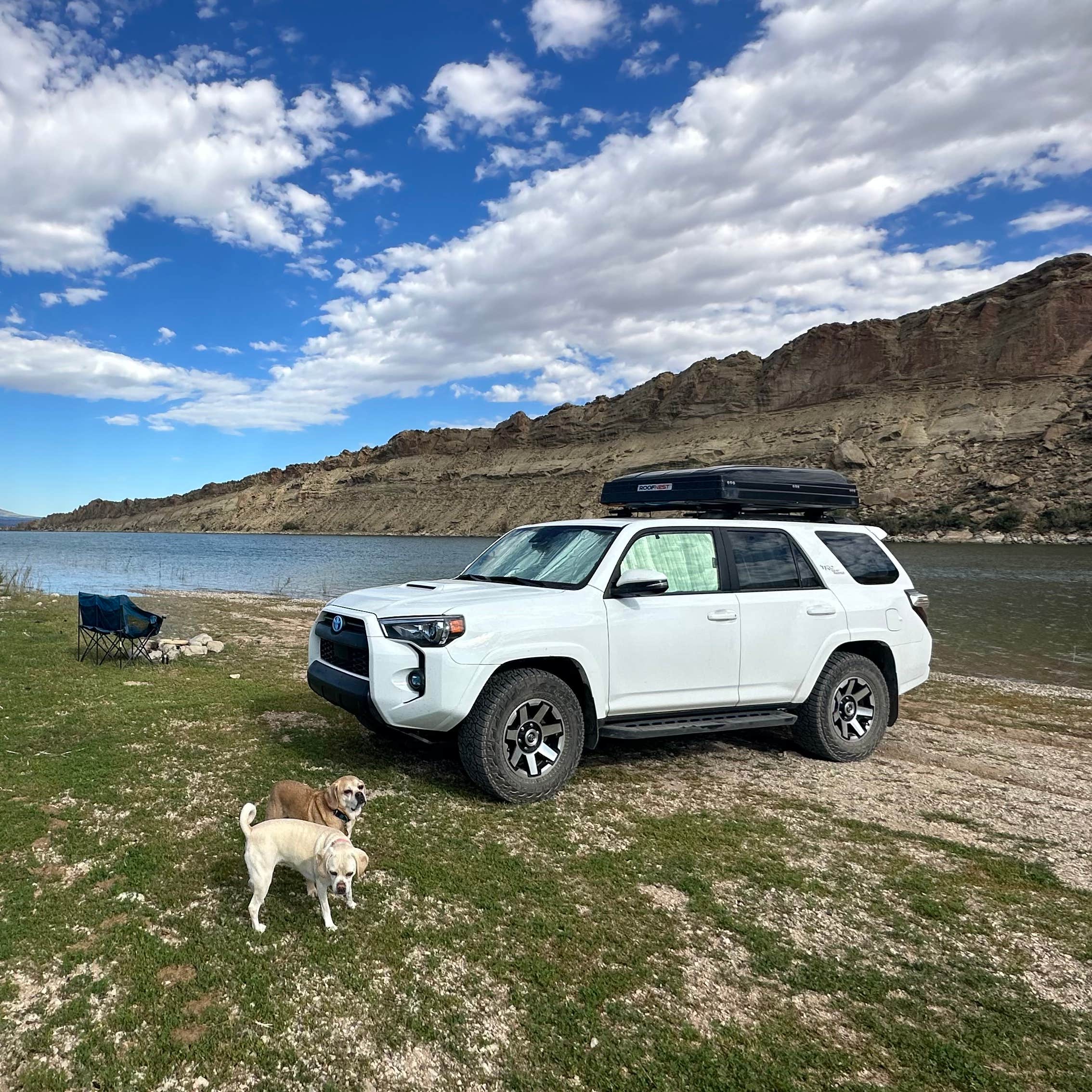 Spring Creek Road Dispersed - Flaming Gorge Camping | Ashley National ...