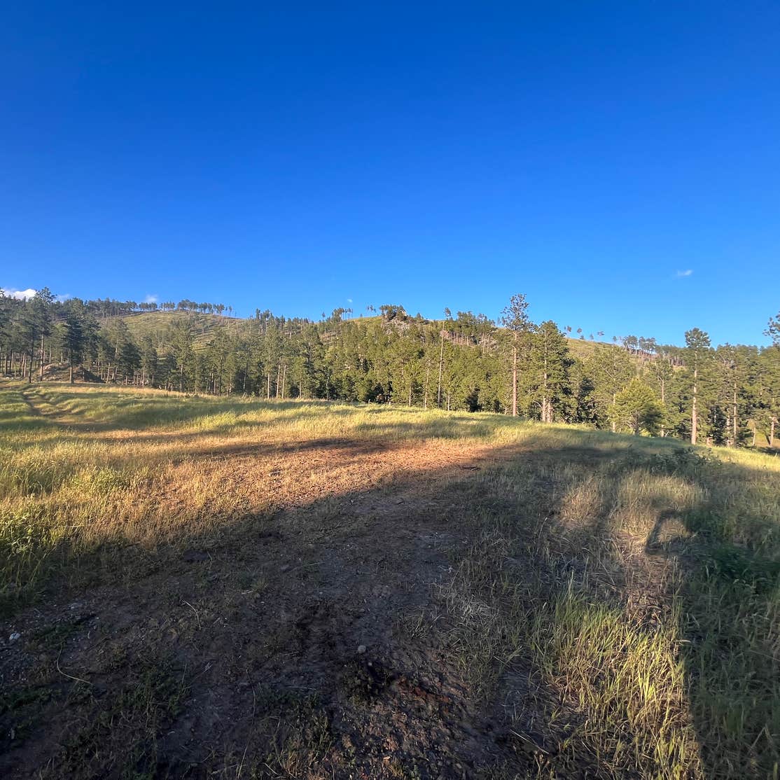 Spring Creek Rd Mine Site Dispersed Camping | Hill City, South Dakota