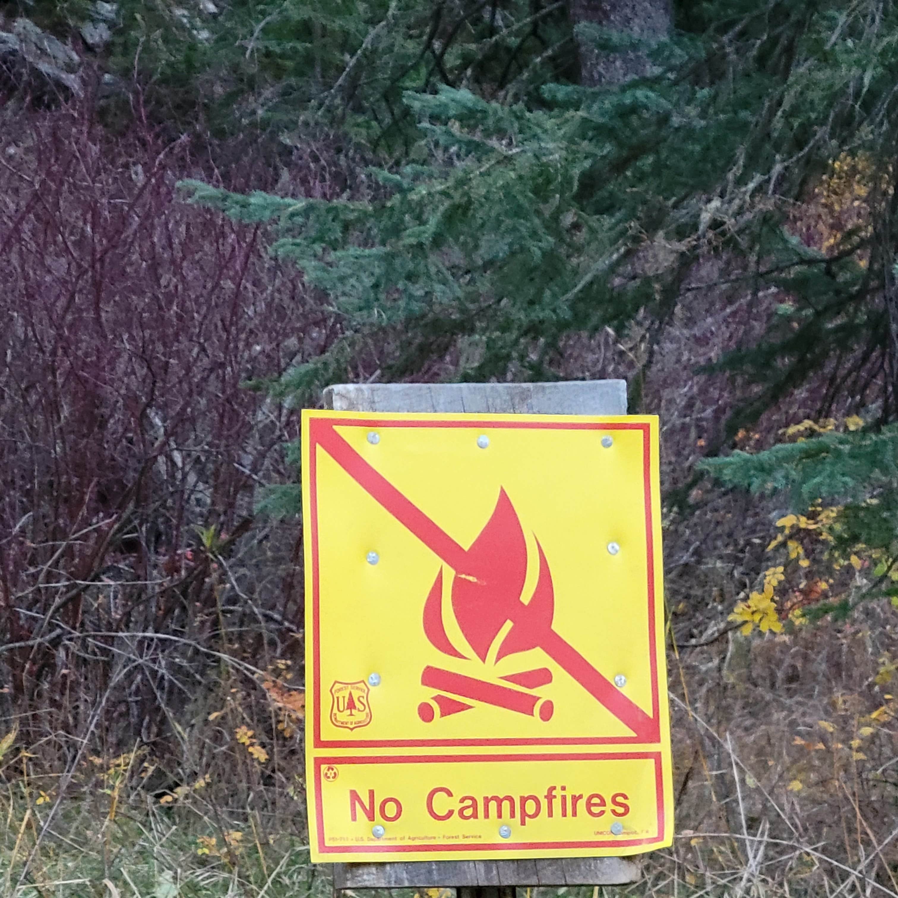 Spring Creek Road Spur Camping | Hill City, SD